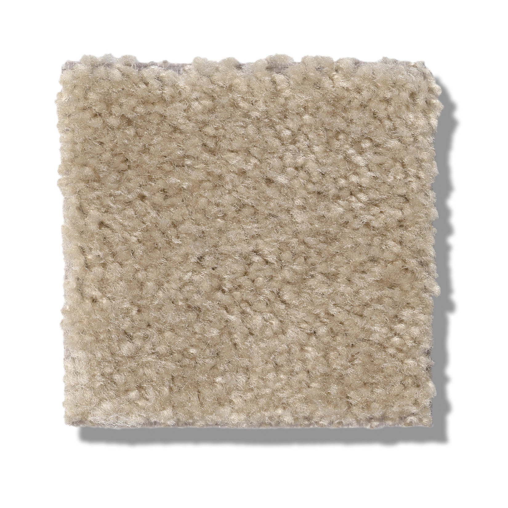 Shaw Floors This IS IT Basketry