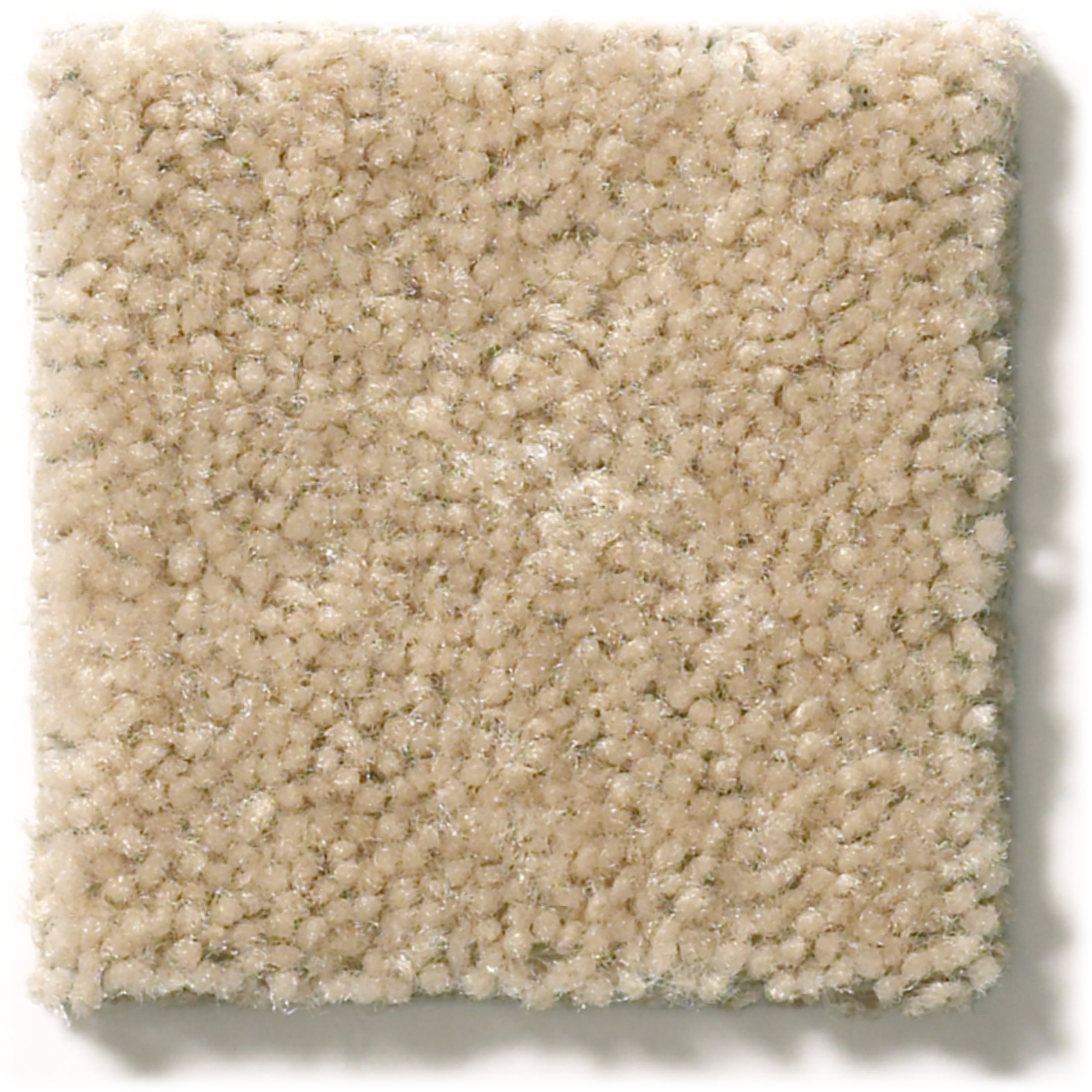 Shaw Floors Positively Artisan