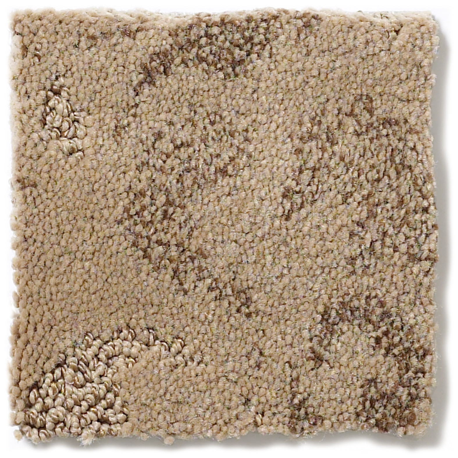 Anderson Tuftex Calligraphy Cuddly Bear