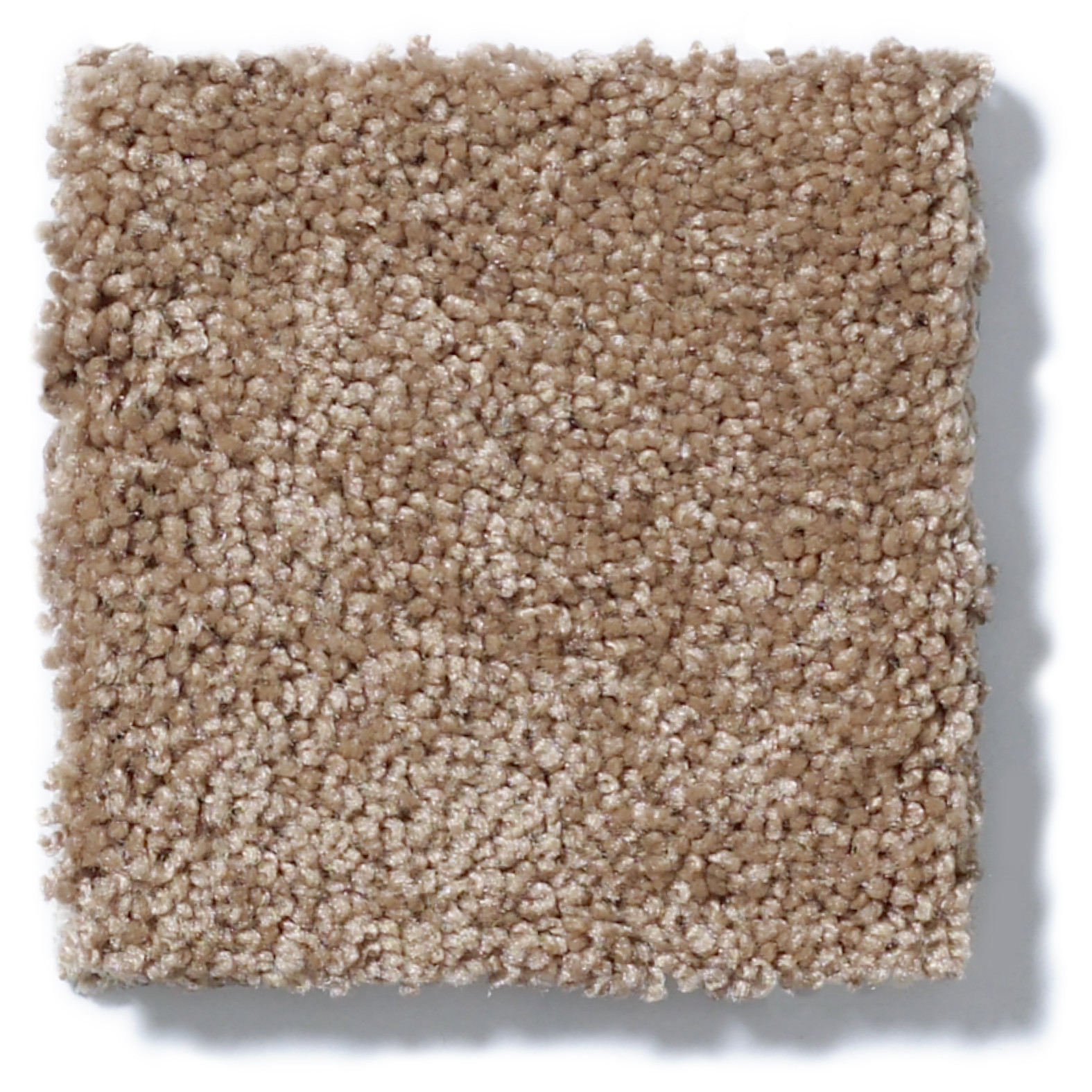 Shaw Floors Awesome 6 (S) Acorn