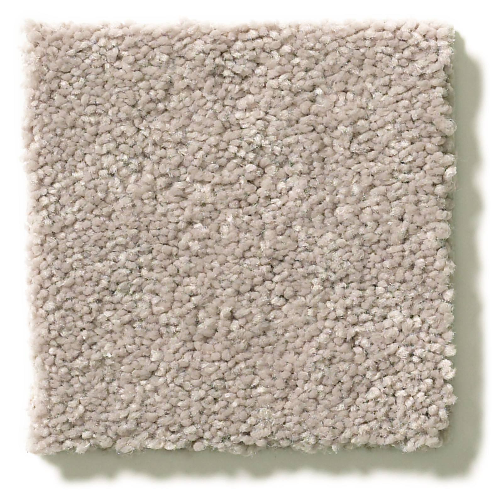 Shaw Floors Momentum I Boutique