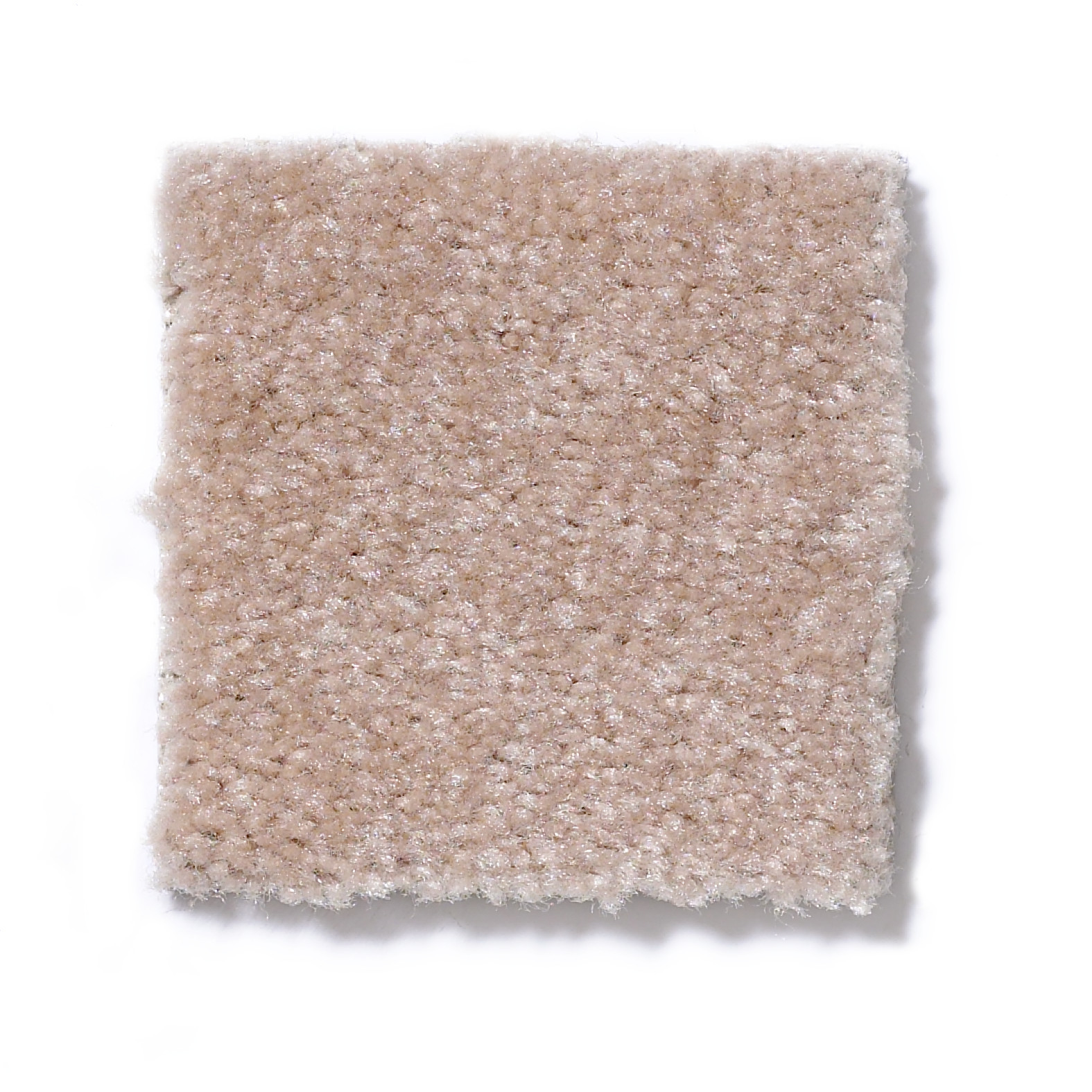 Shaw Floors Warrior Classic Dawn Beige