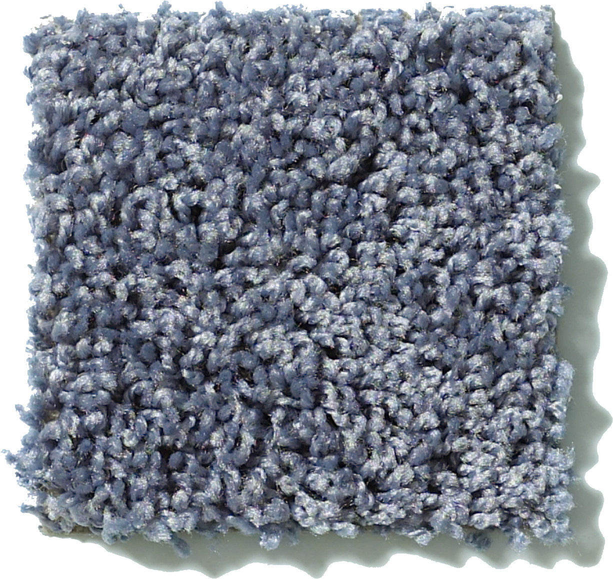 Shaw Floors Forest Grove Leisure Blue