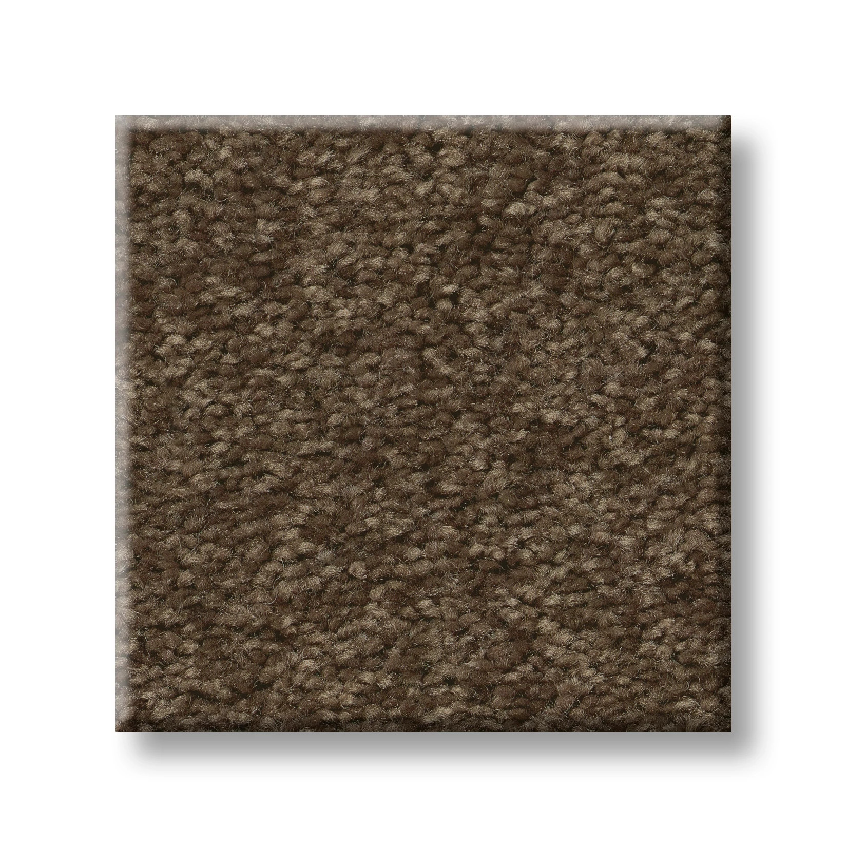 Shaw Floors Dawson Manor I Briar Patch