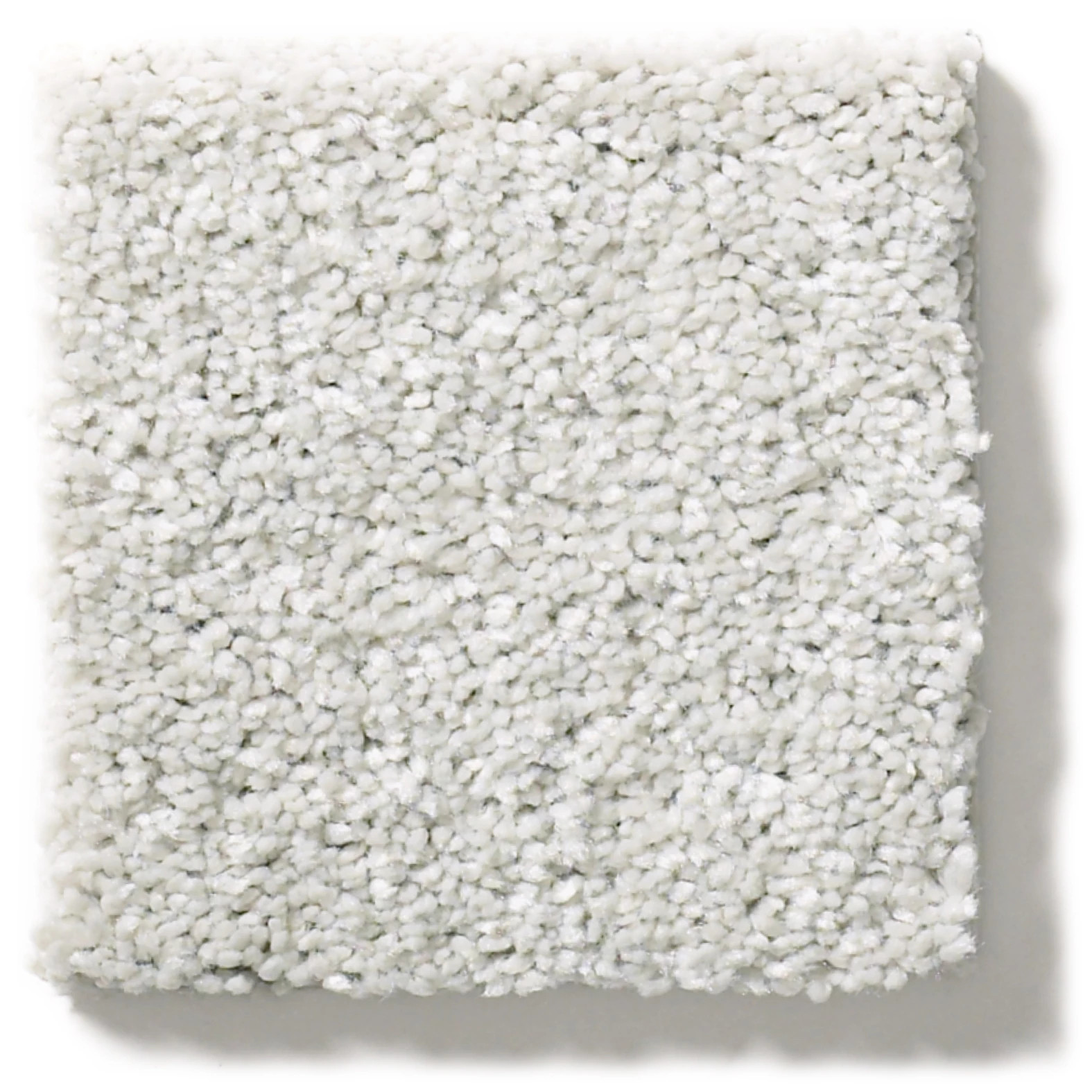 Shaw Floors Fletcher Hall Dolphin