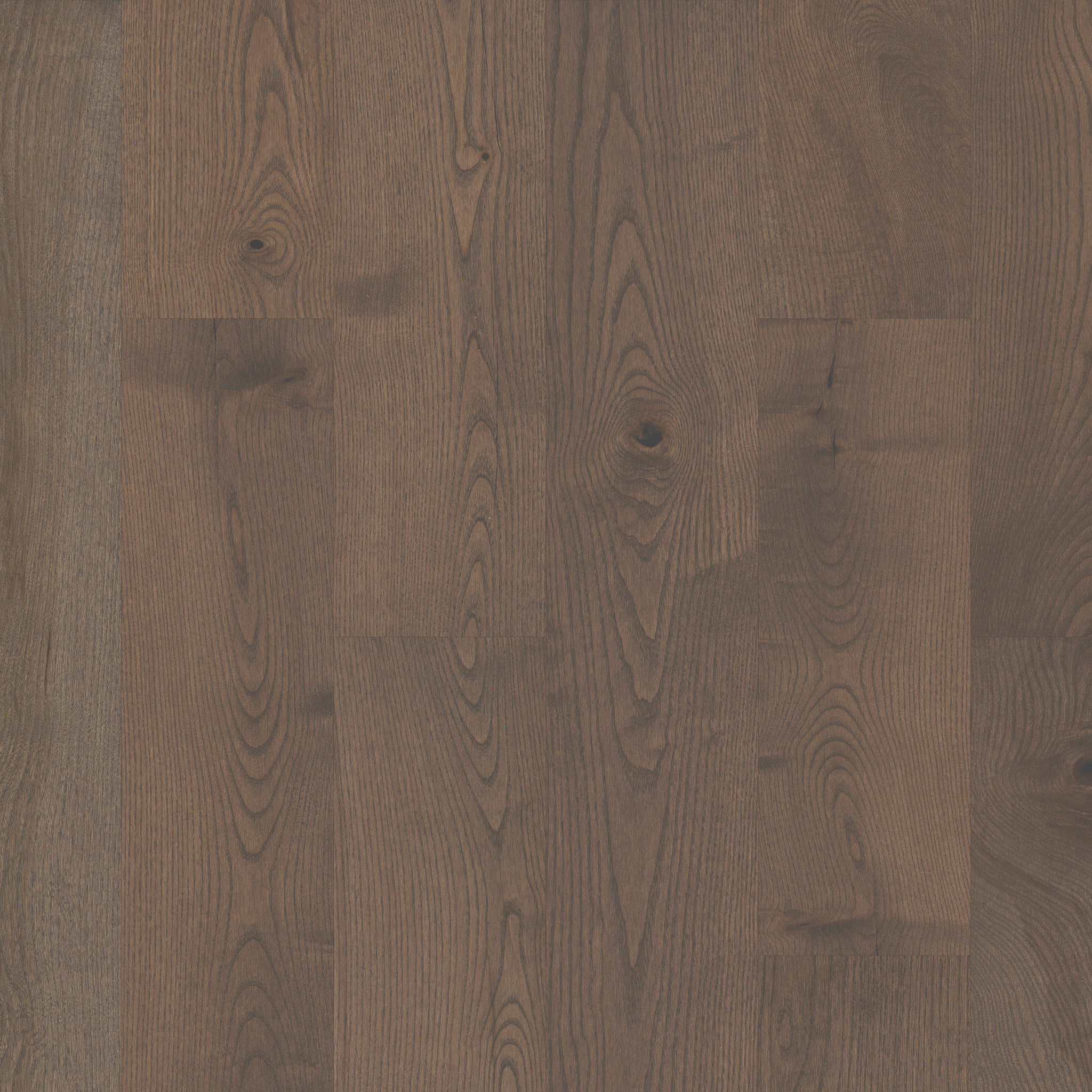 Shaw Floors Impressions Ash Instinct