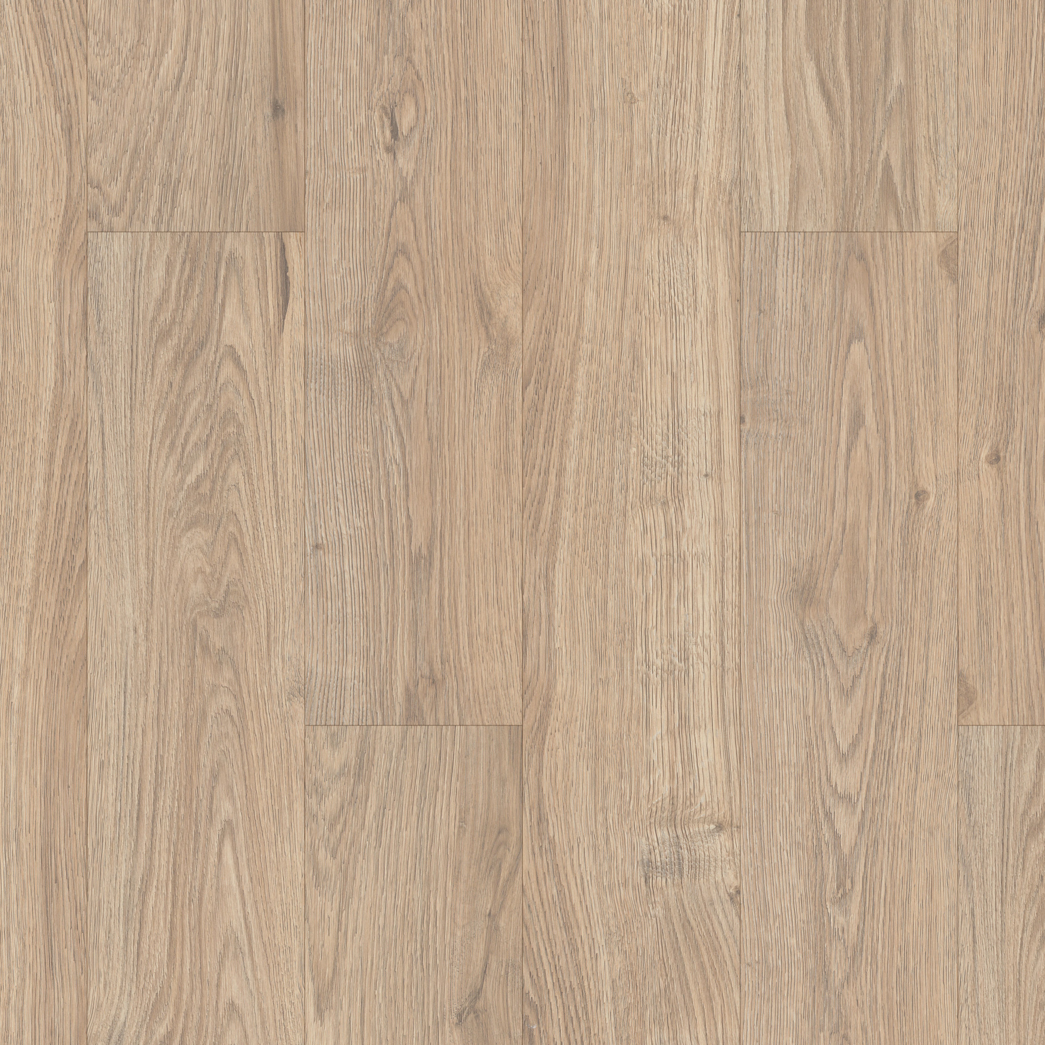 Shaw Floors Thatcher Plus II Amarillo BY Morning