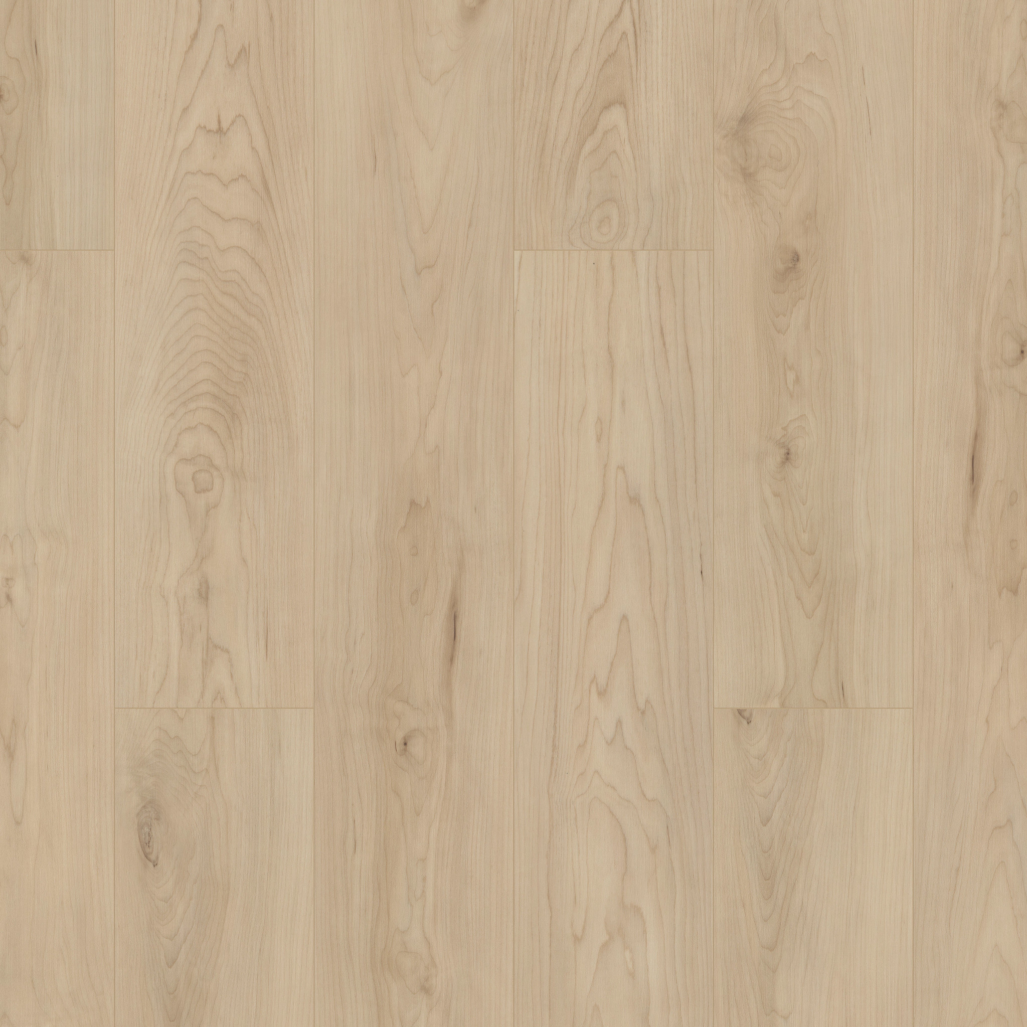 Coretec Coretec Pro Plus Enhanced Plan Shoreline Maple