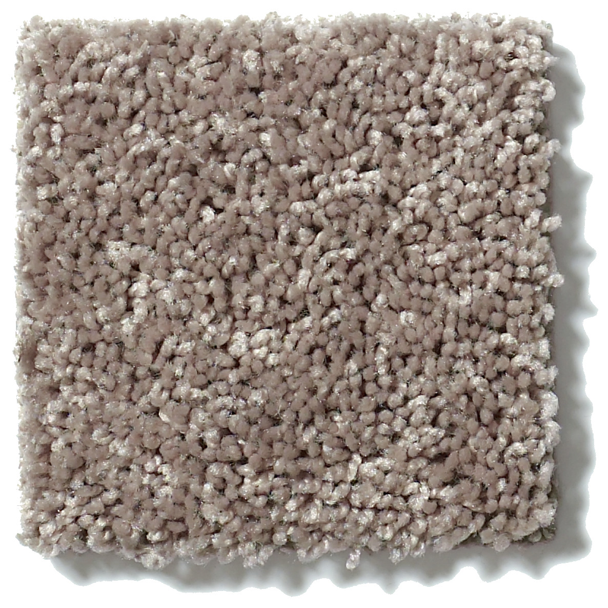 Shaw Floors Xv503 Warm Taupe