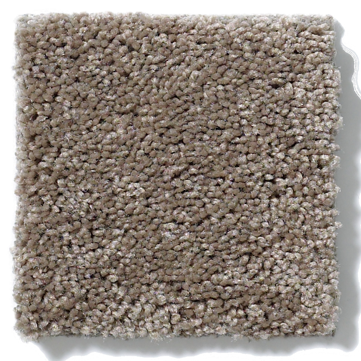 Anderson Tuftex Embrace Misty Taupe