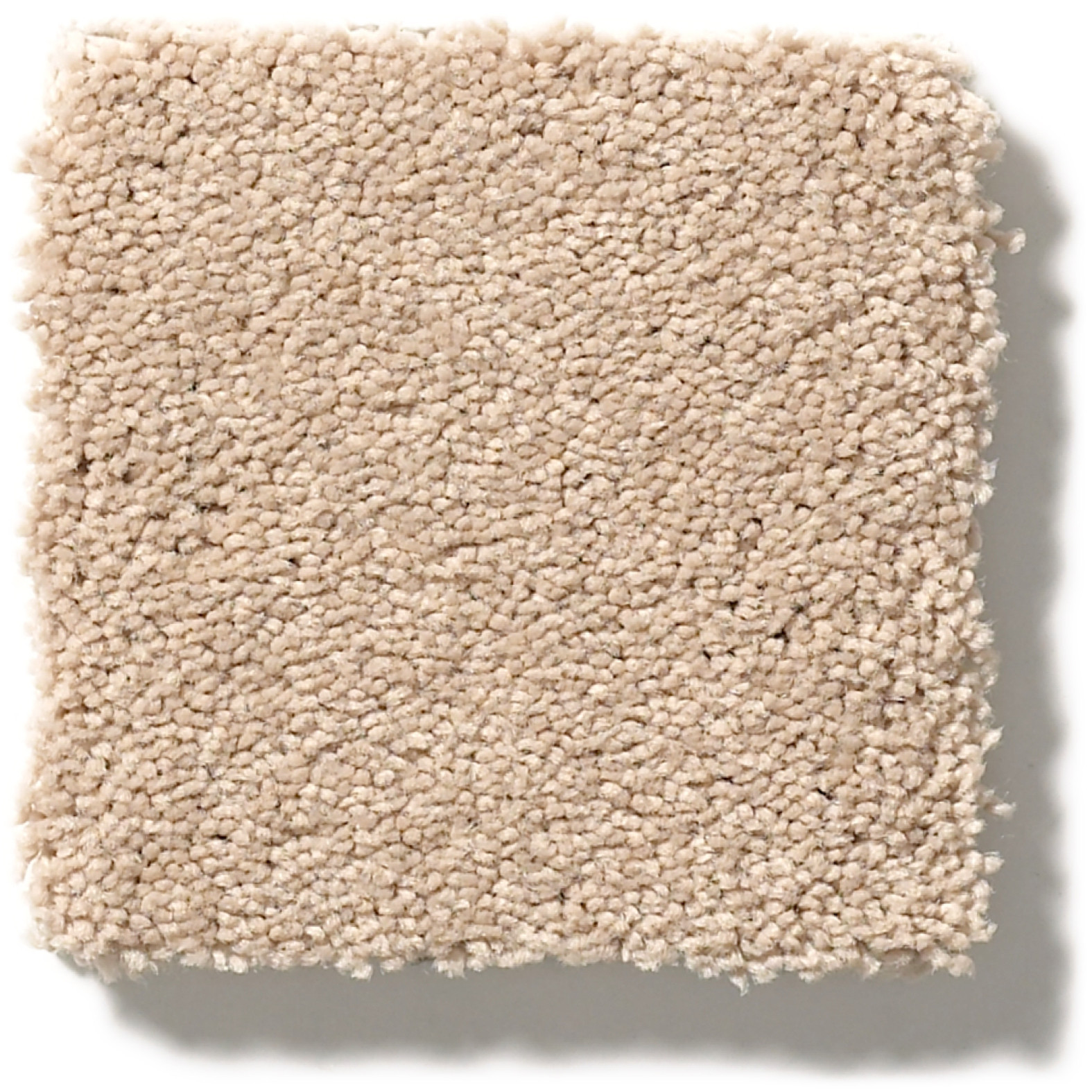 Anderson Tuftex Classic Beauty Cocoa Sand