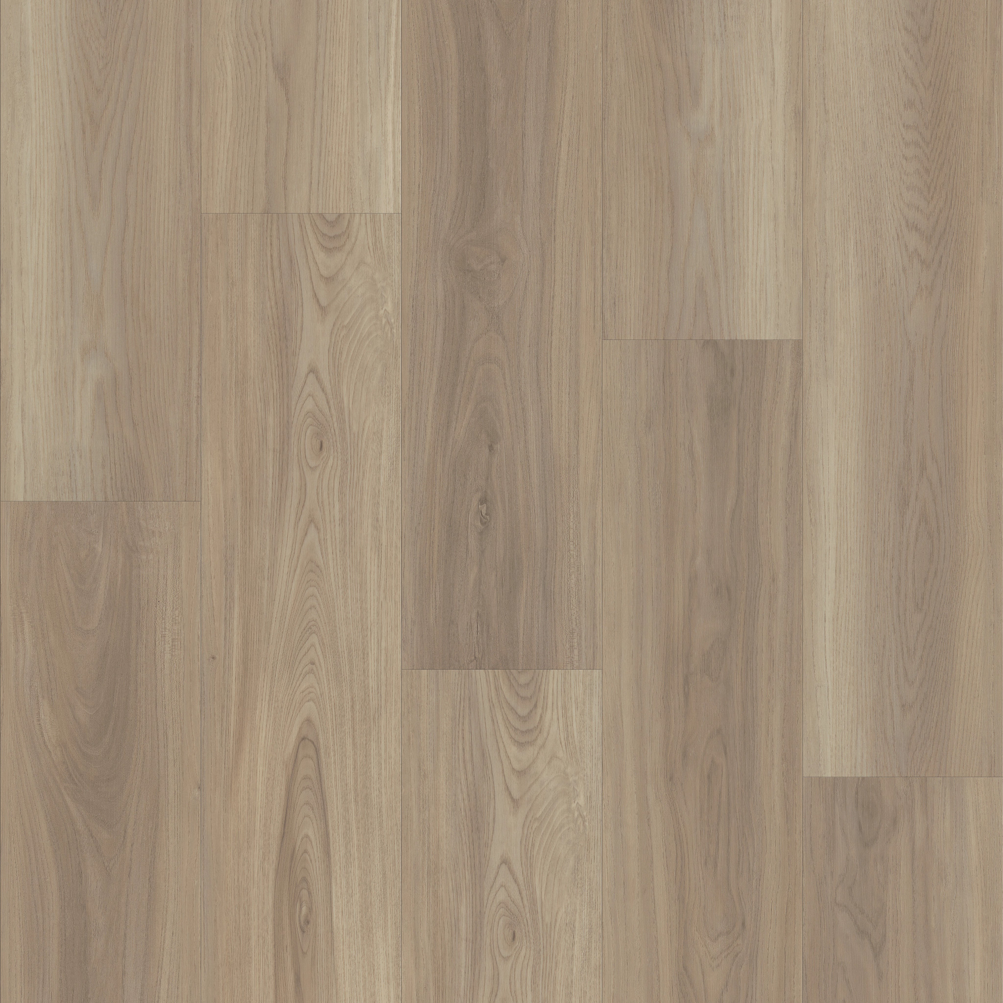 Endura Plus - in Lighthouse | Shaw Floors