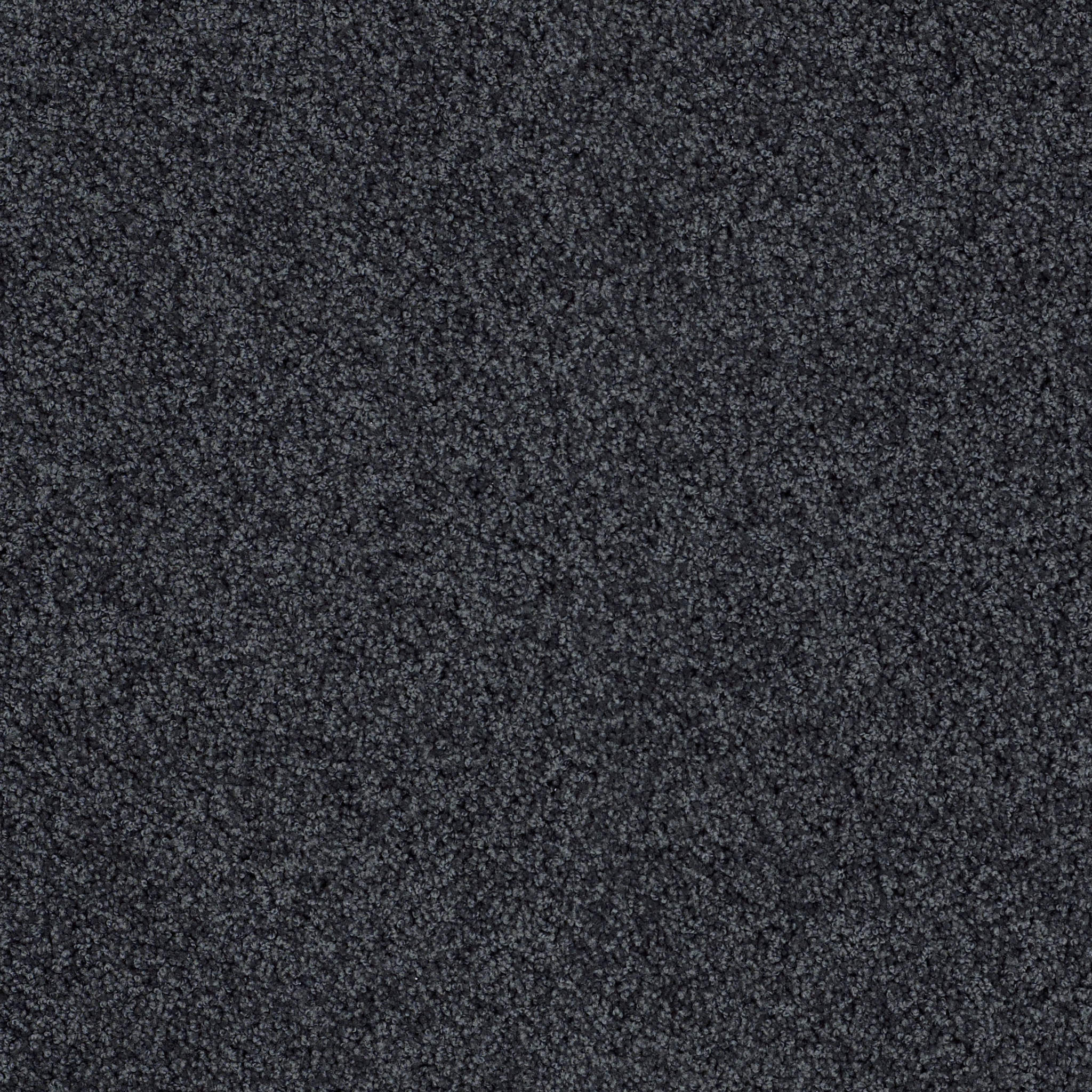 Ag Timeless - Blueberry Carpet | Shaw Floors