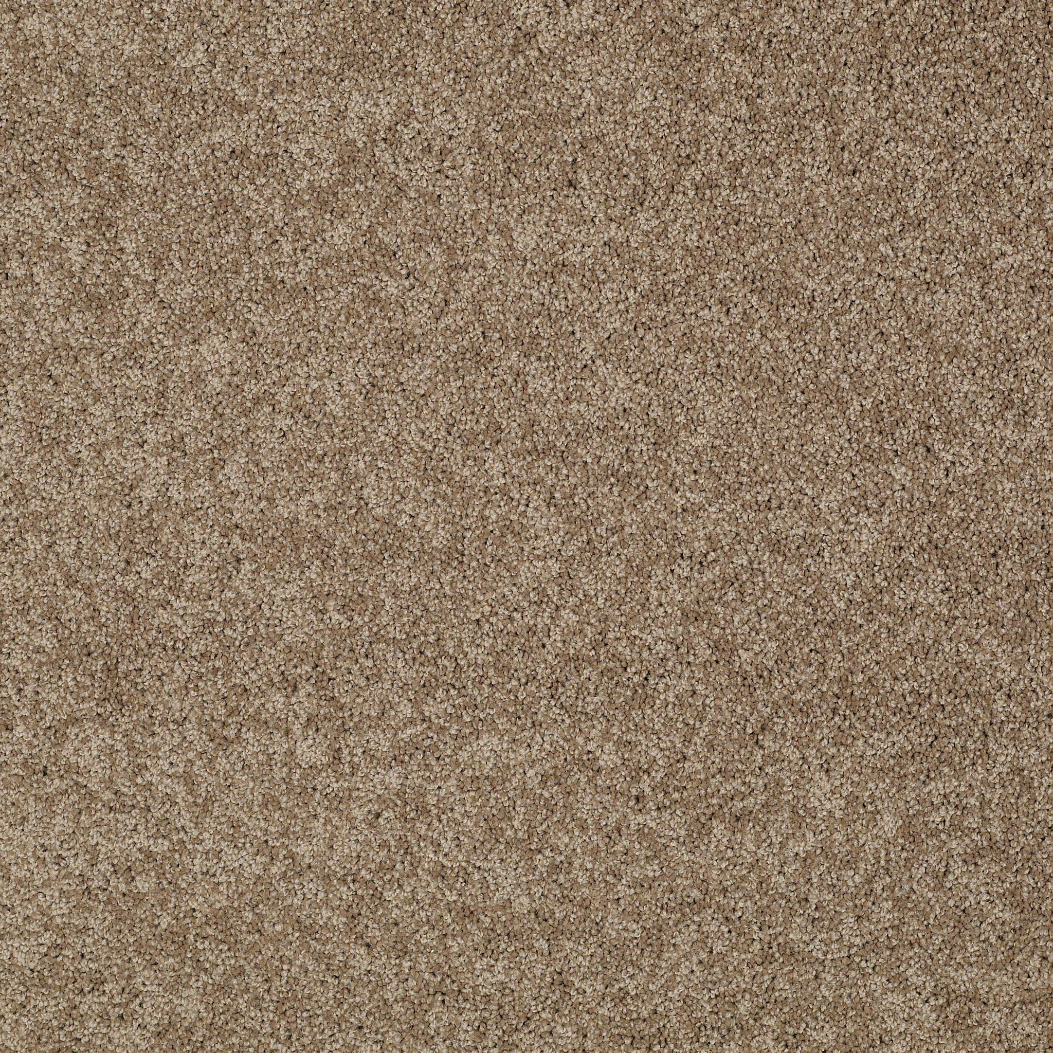 Ag Timeless - Georgia Clay Carpet | Shaw Floors