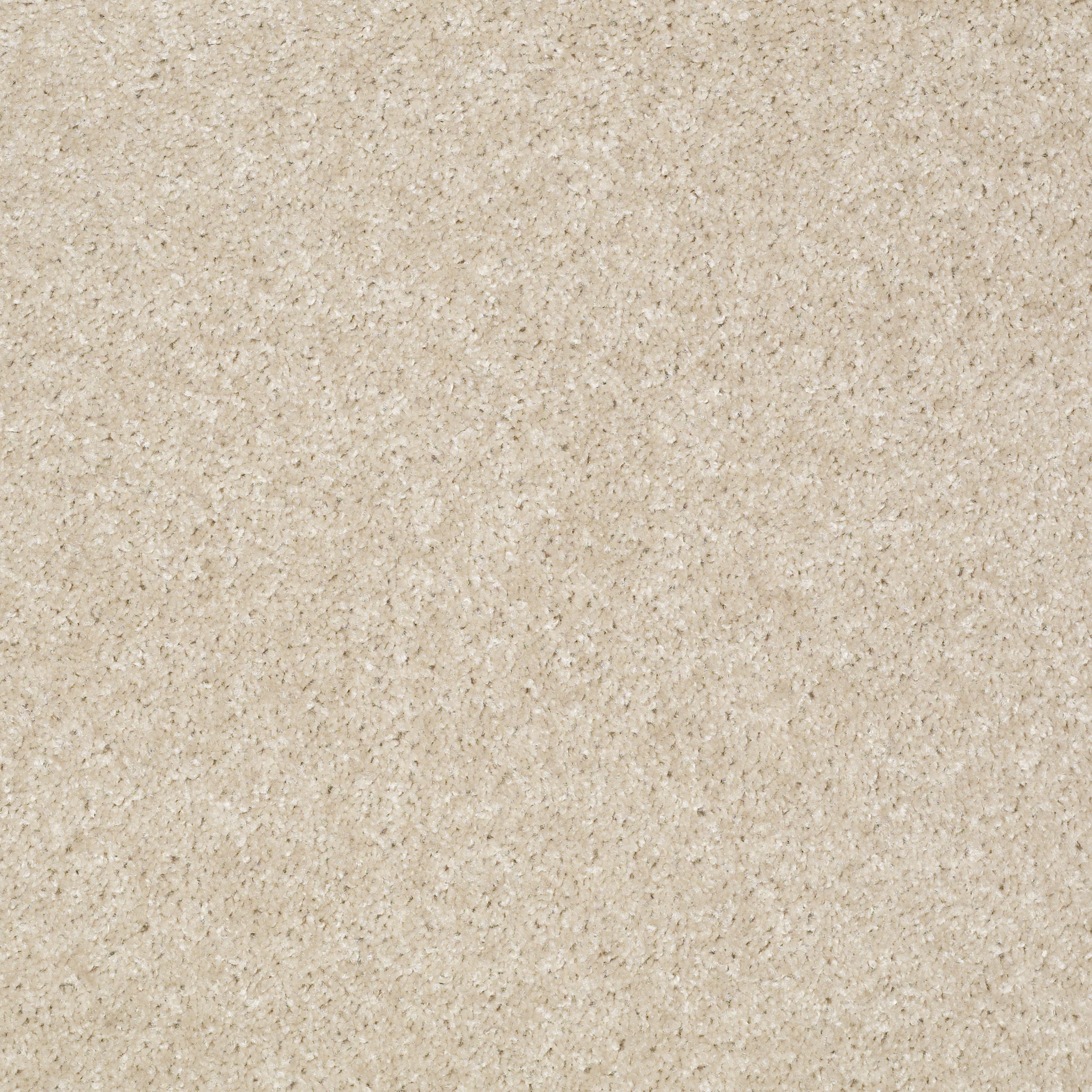 Jet Set - Stucco Carpet | Shaw Floors