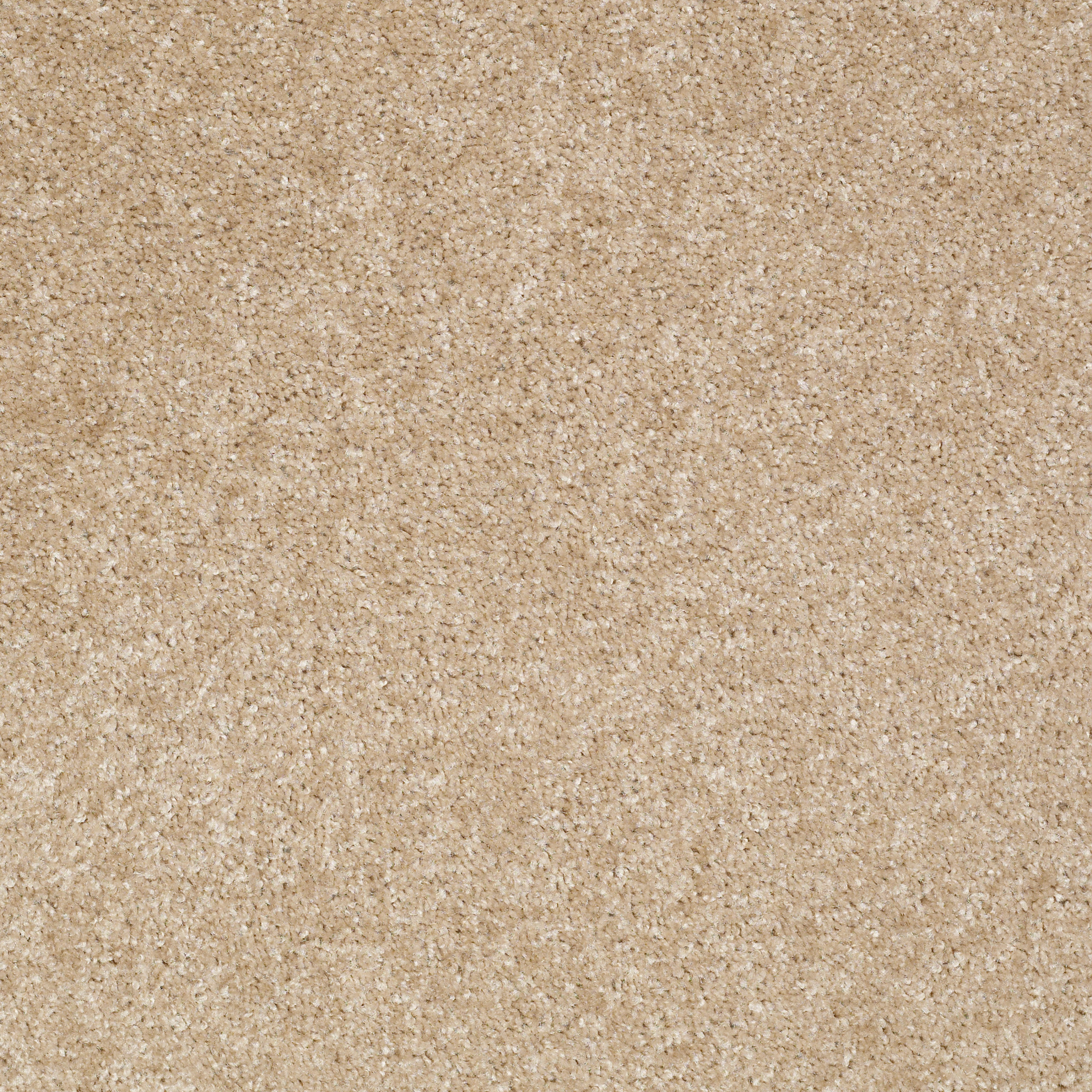Jet Set - Crisp Linen Carpet | Shaw Floors