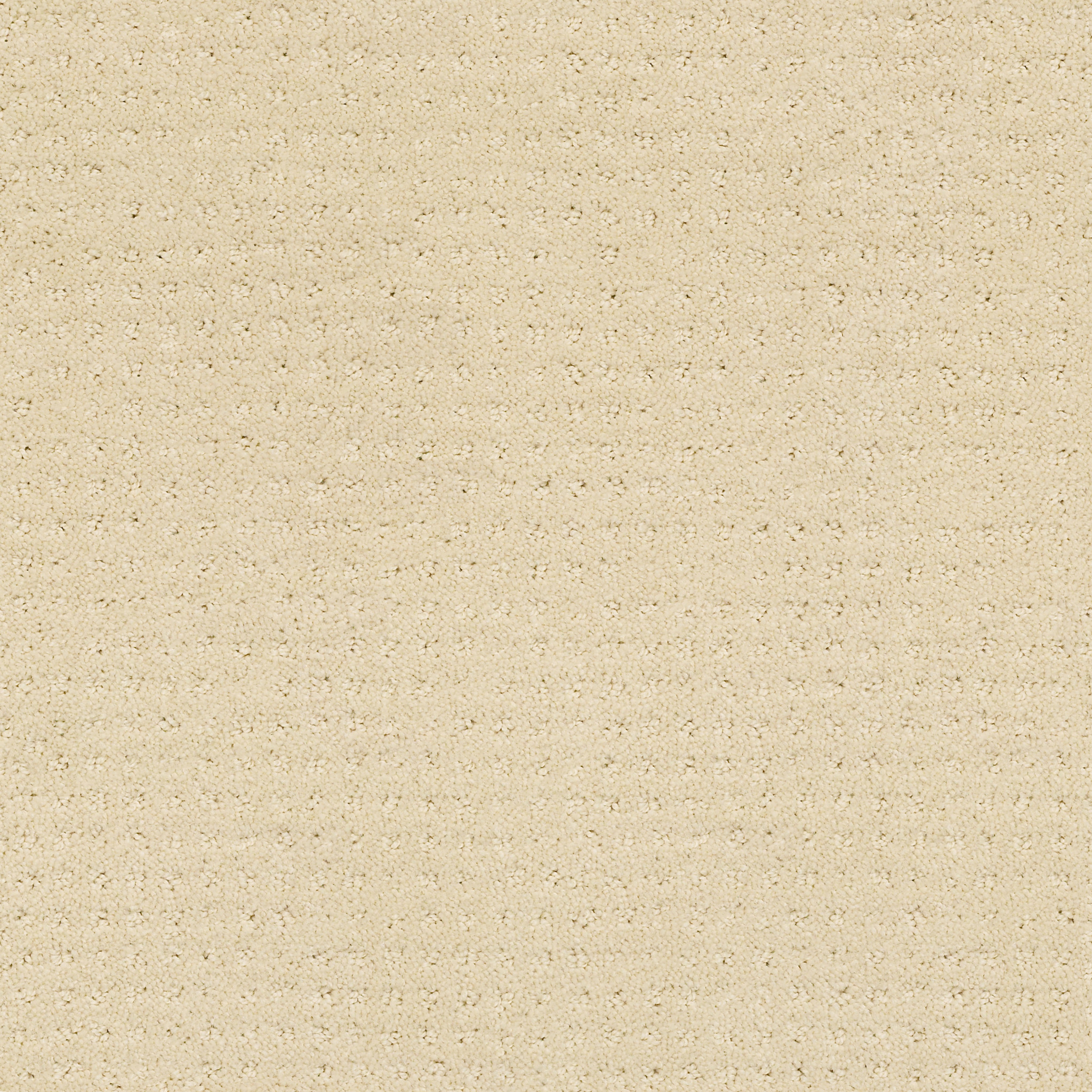 Colorful Fun - Airy White Carpet | Shaw Floors