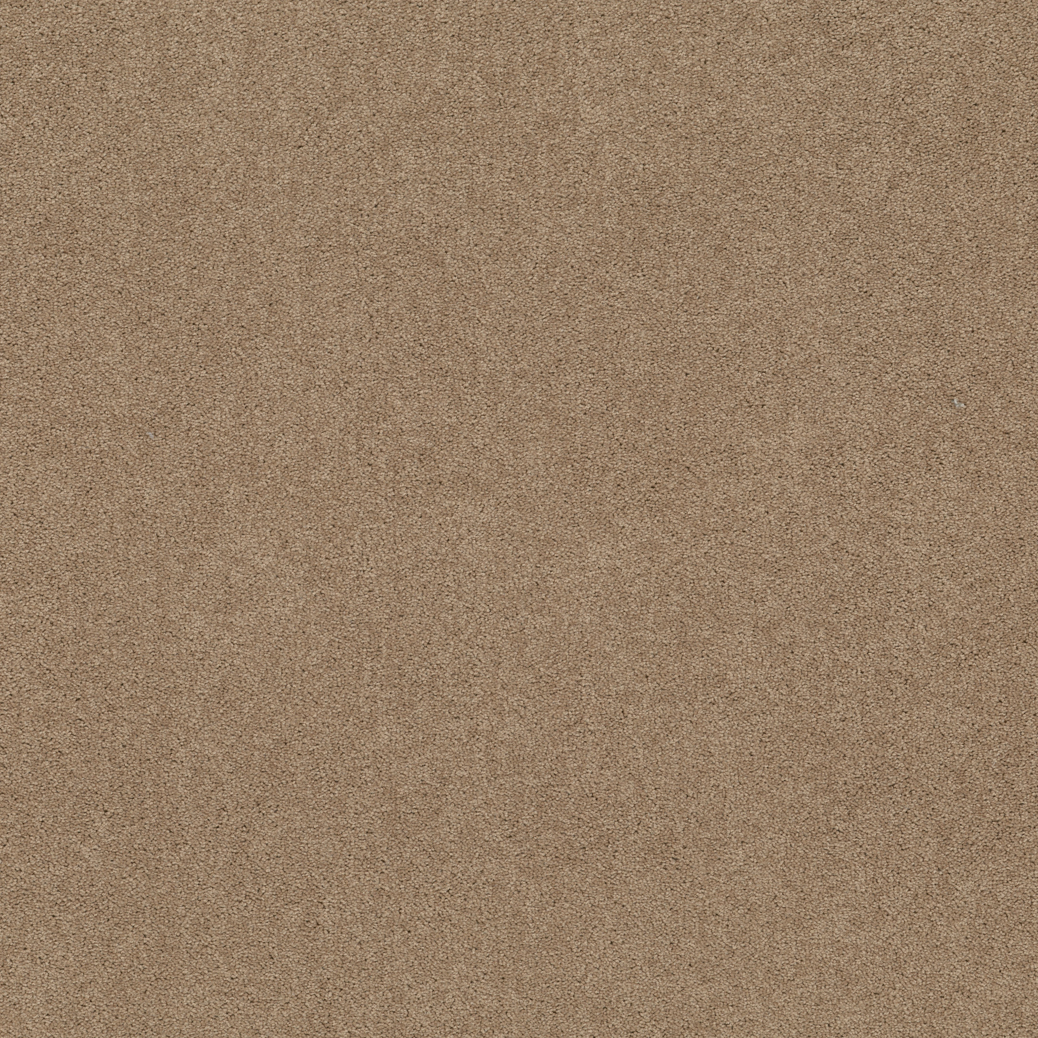 Sun Valley 12 - Dusty Trail Carpet | Shaw Floors