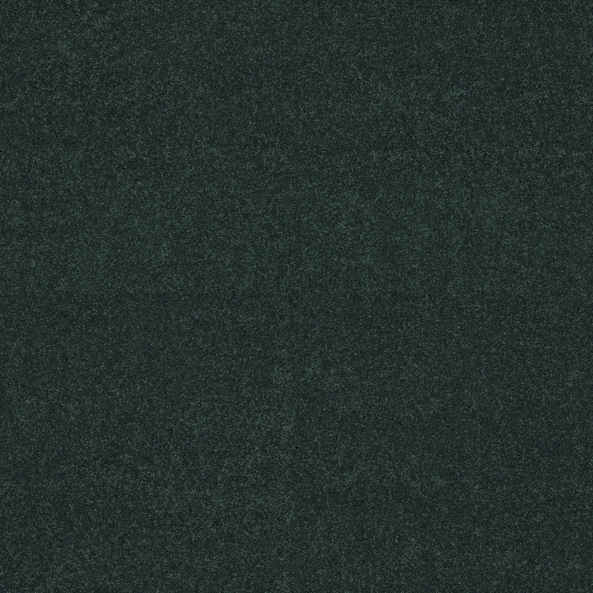 Beautifully Simple - Hidden Falls Carpet | Shaw Floors