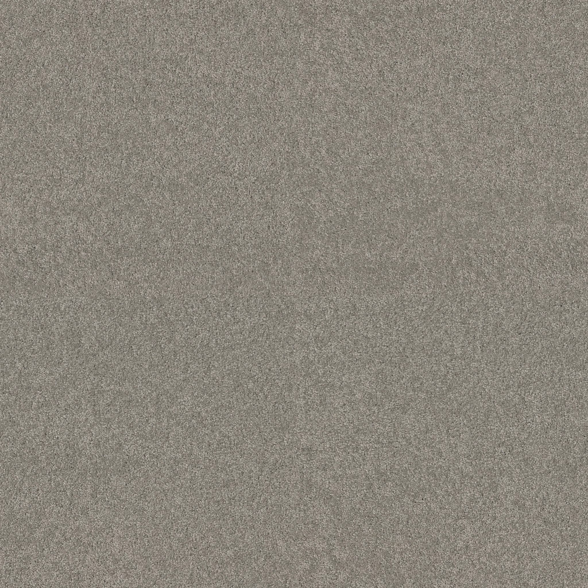 Beautifully Simple - Radiance Carpet | Shaw Floors