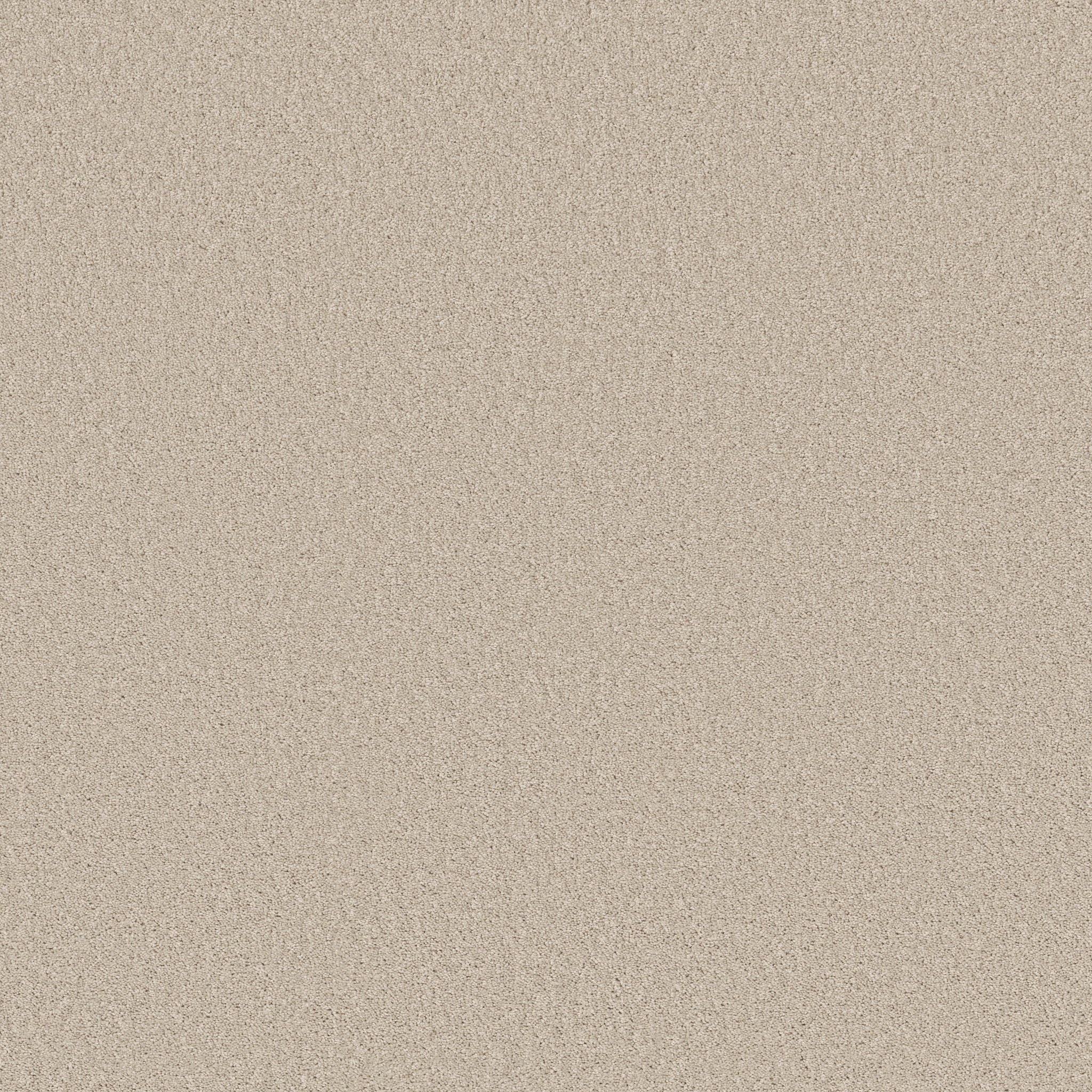 Why Not Me - Fresh Perspective Carpet | Shaw Floors