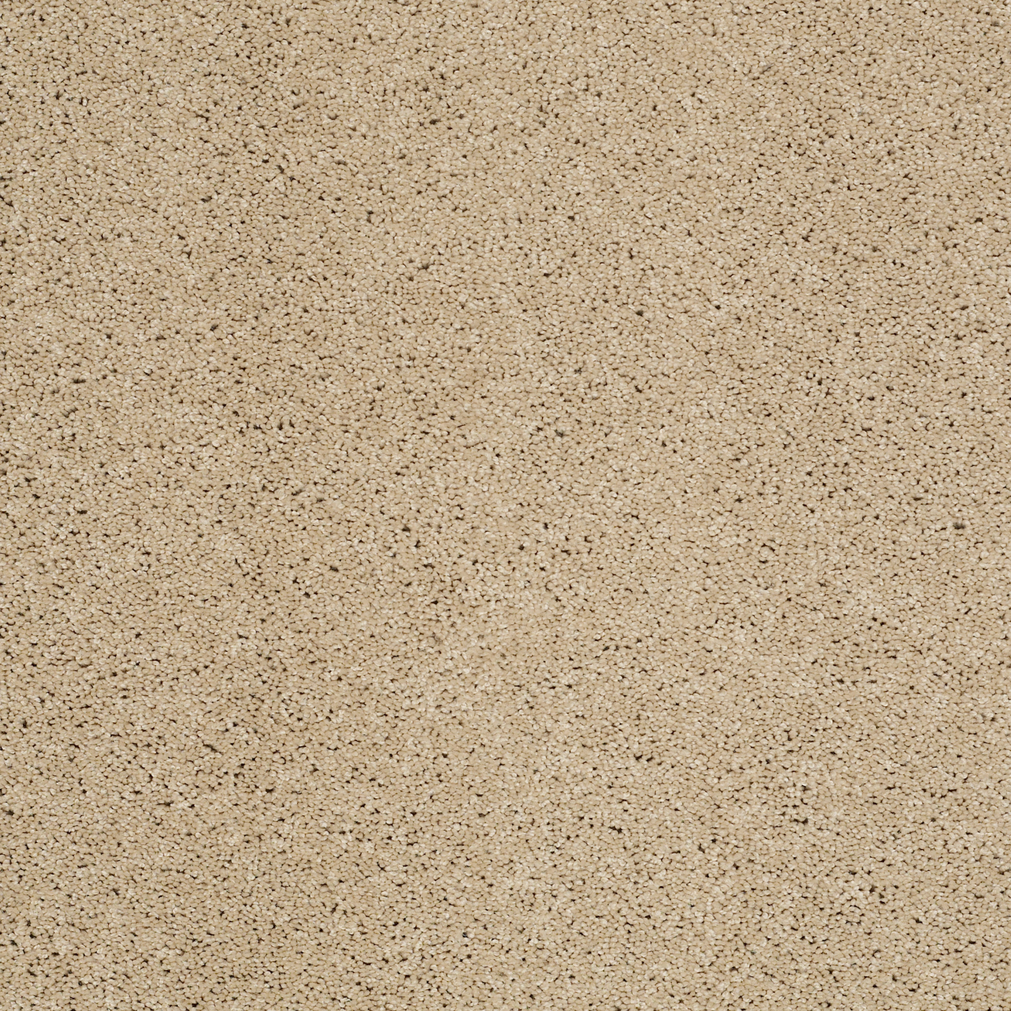 Luxury Bay Ii - Beach Walk Carpet | Shaw Floors