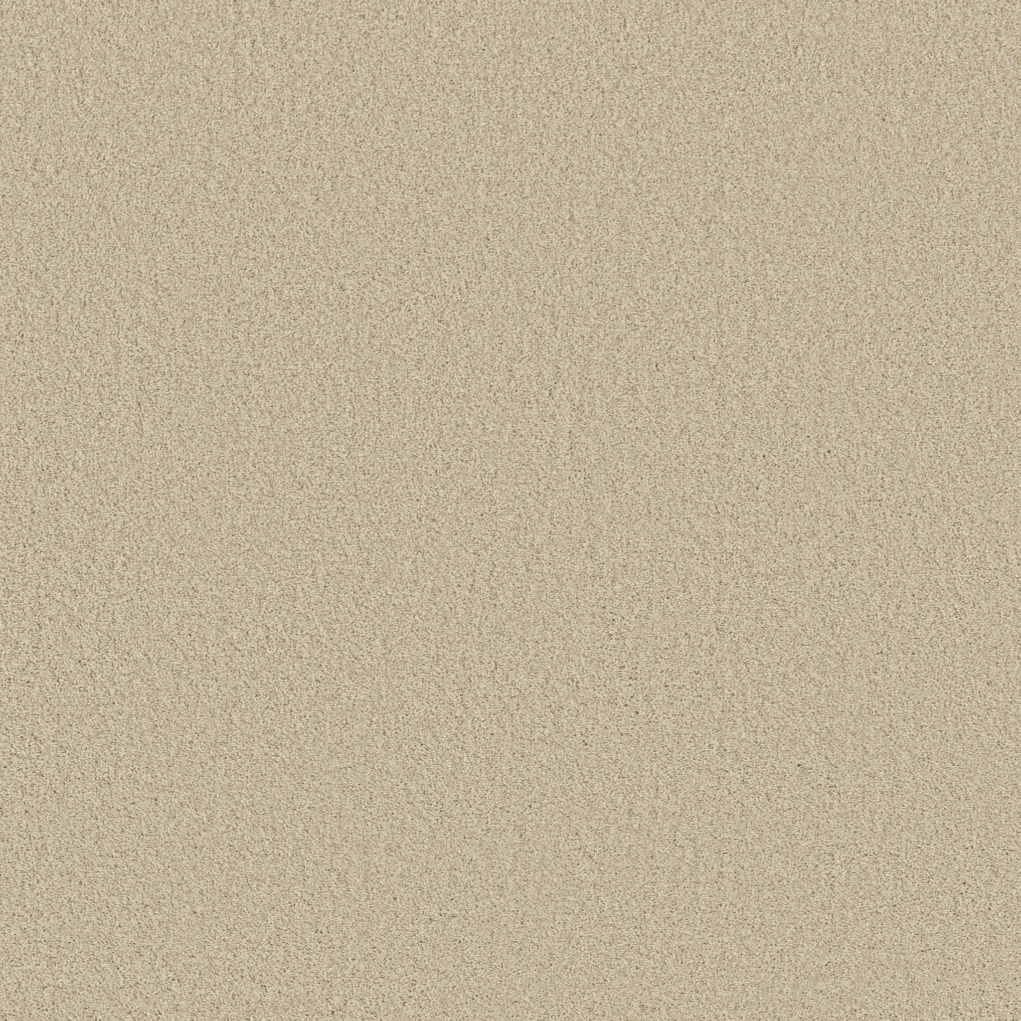 Luxury Bay Iii - Pale Cream Carpet | Shaw Floors