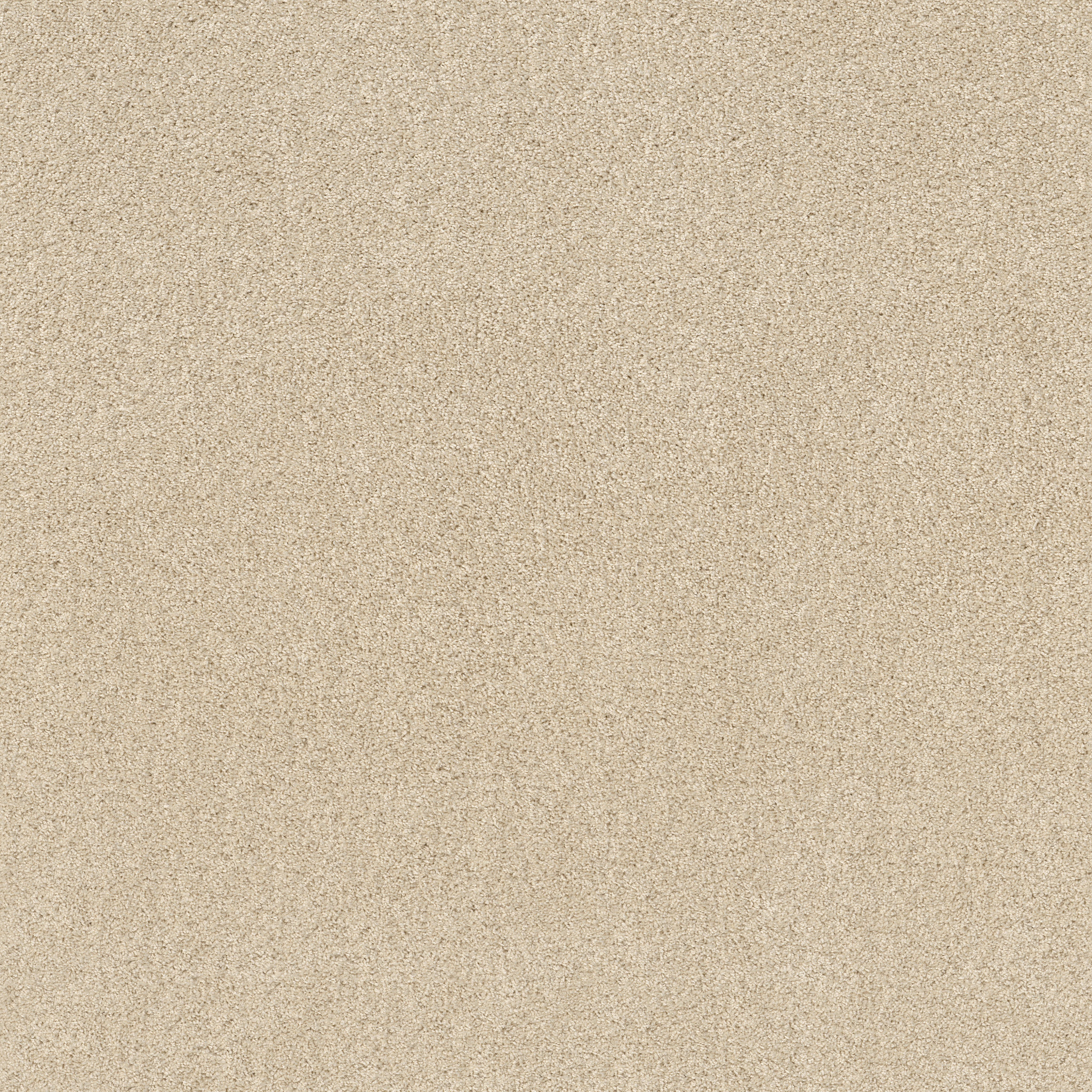 Best Basics - Winter White Carpet | Shaw Floors