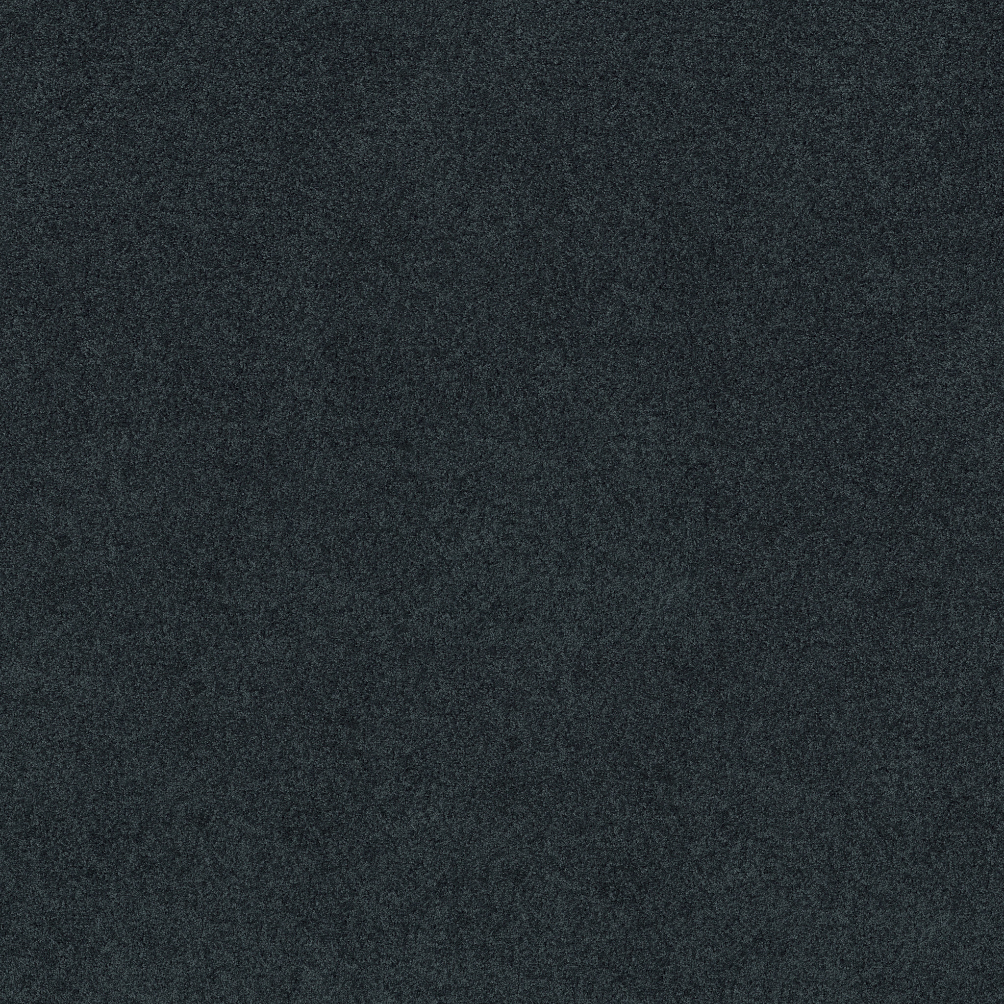 My Destination I - Indigo Carpet | Shaw Floors