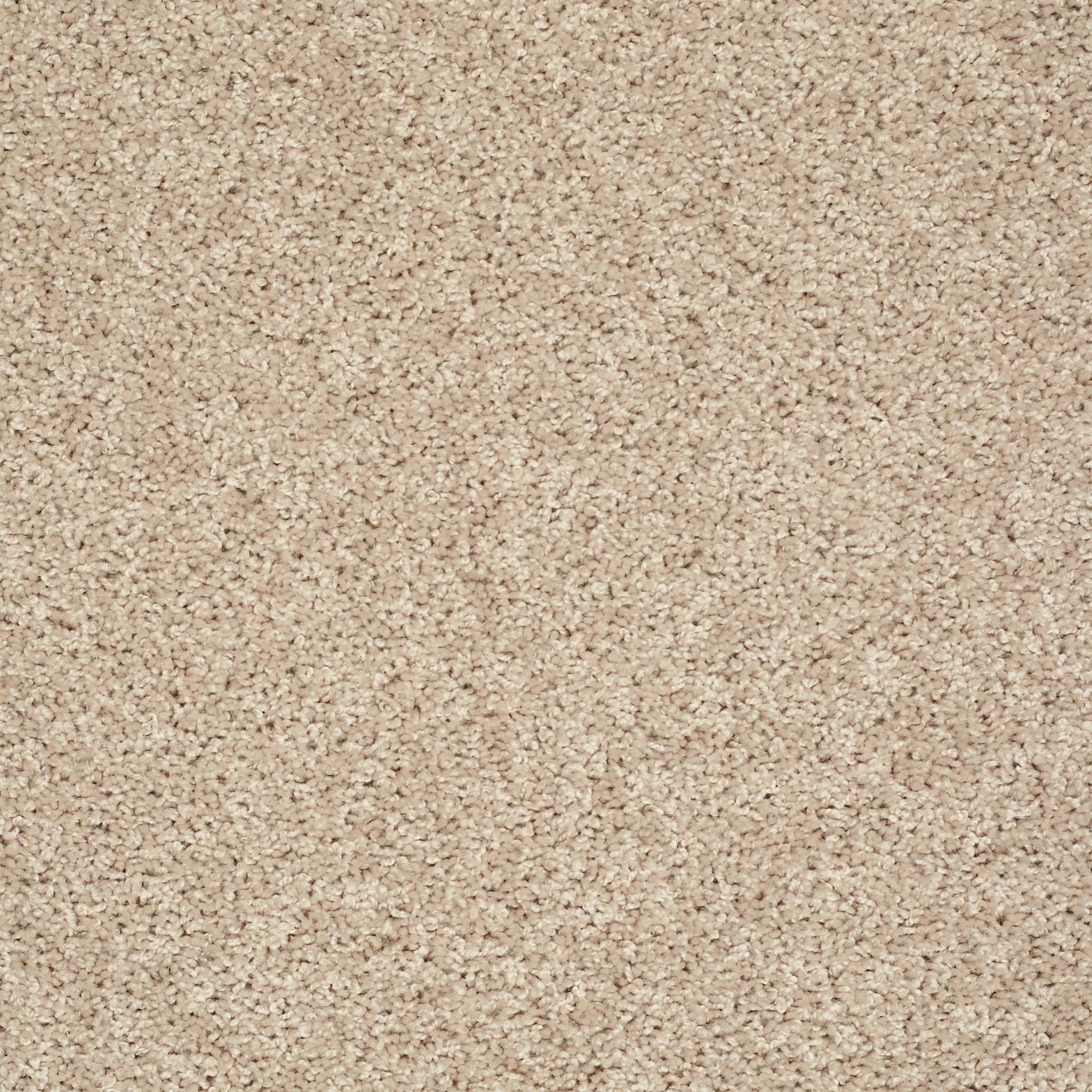 Break Away - Solid - Gentle Breeze Carpet | Shaw Floors