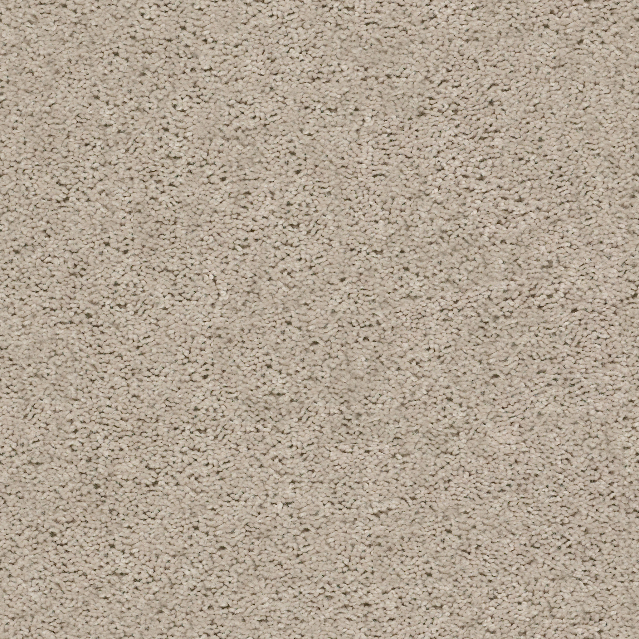 Break Away - Solid - Gentle Breeze Carpet | Shaw Floors