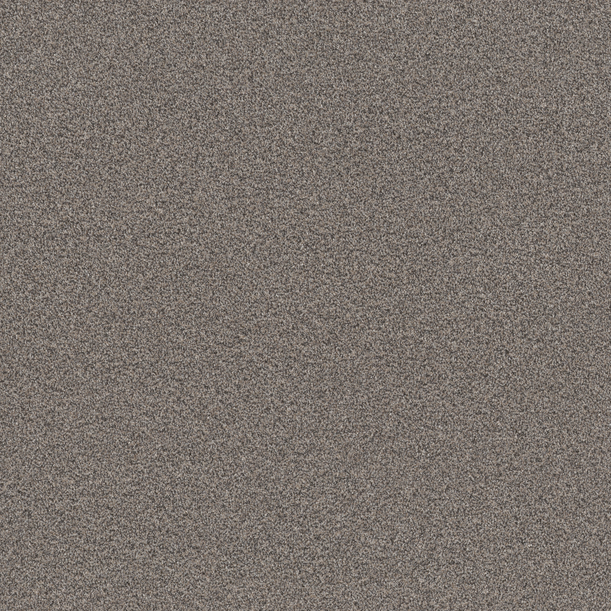 Influencer - 100% ANSO® High Performance PET | Shaw Floors