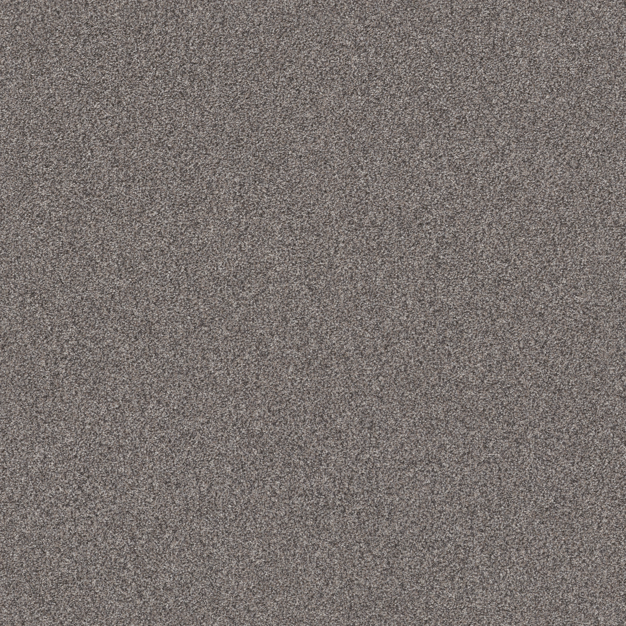 Influencer - 100% ANSO® High Performance PET | Shaw Floors