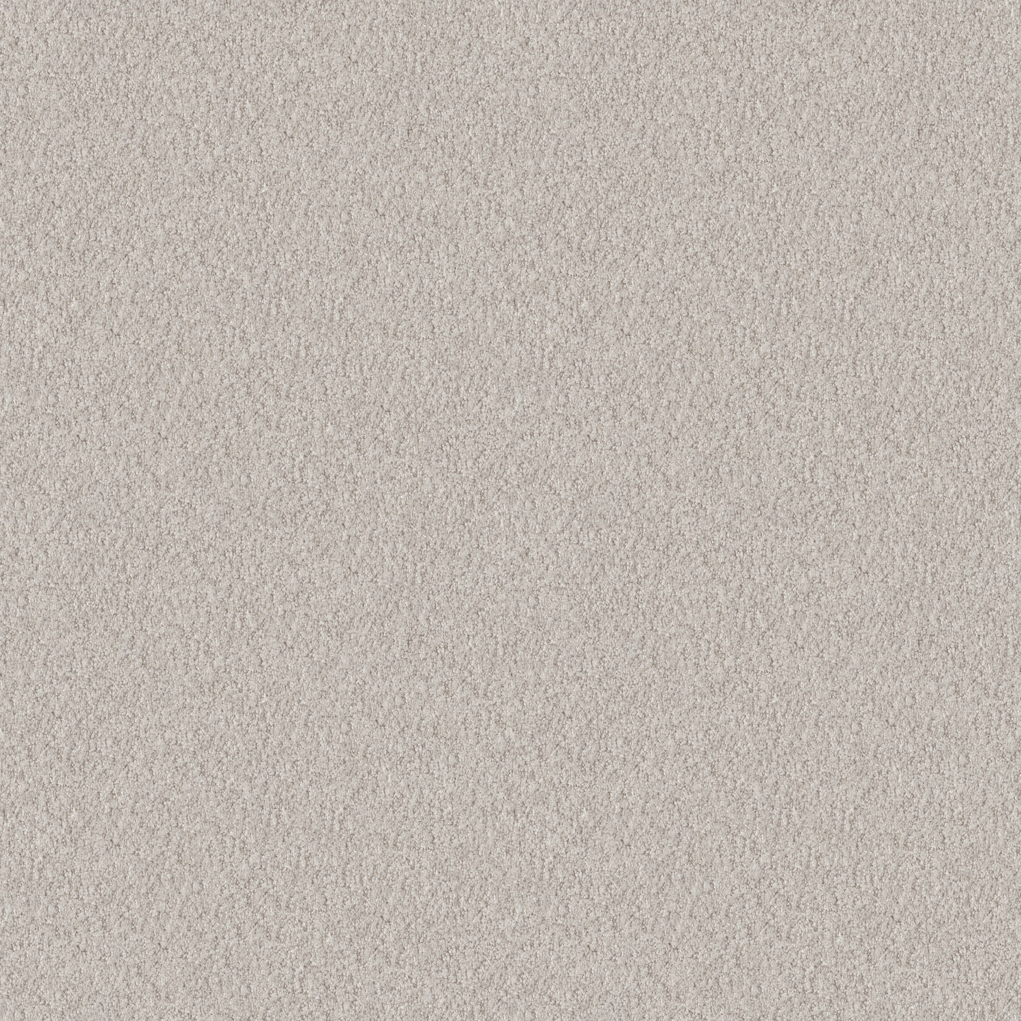 Alluring Canvas - Winters Dawn Carpet | Shaw Floors