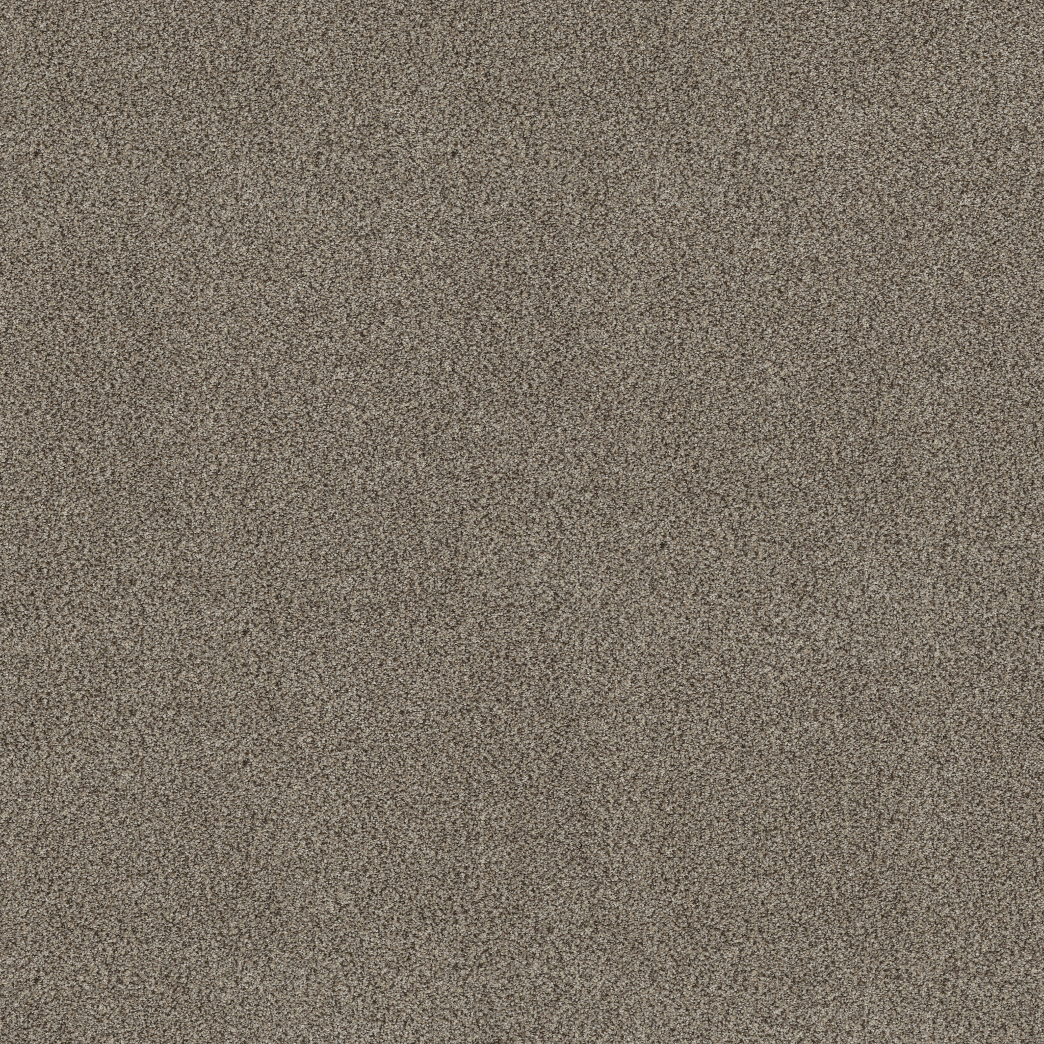 Truspirit I - Truffle Carpet | Shaw Floors