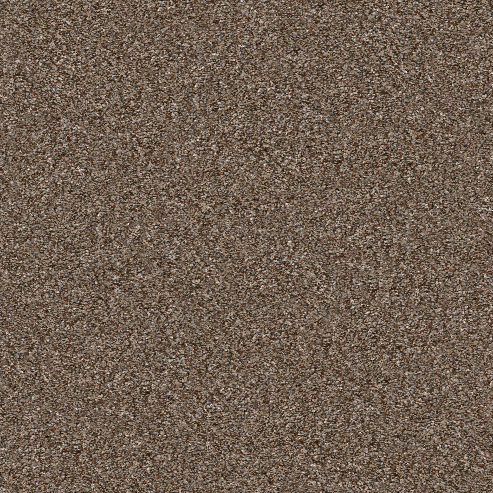 Yes You Can I 15' - Worn Path Carpet | Shaw Floors