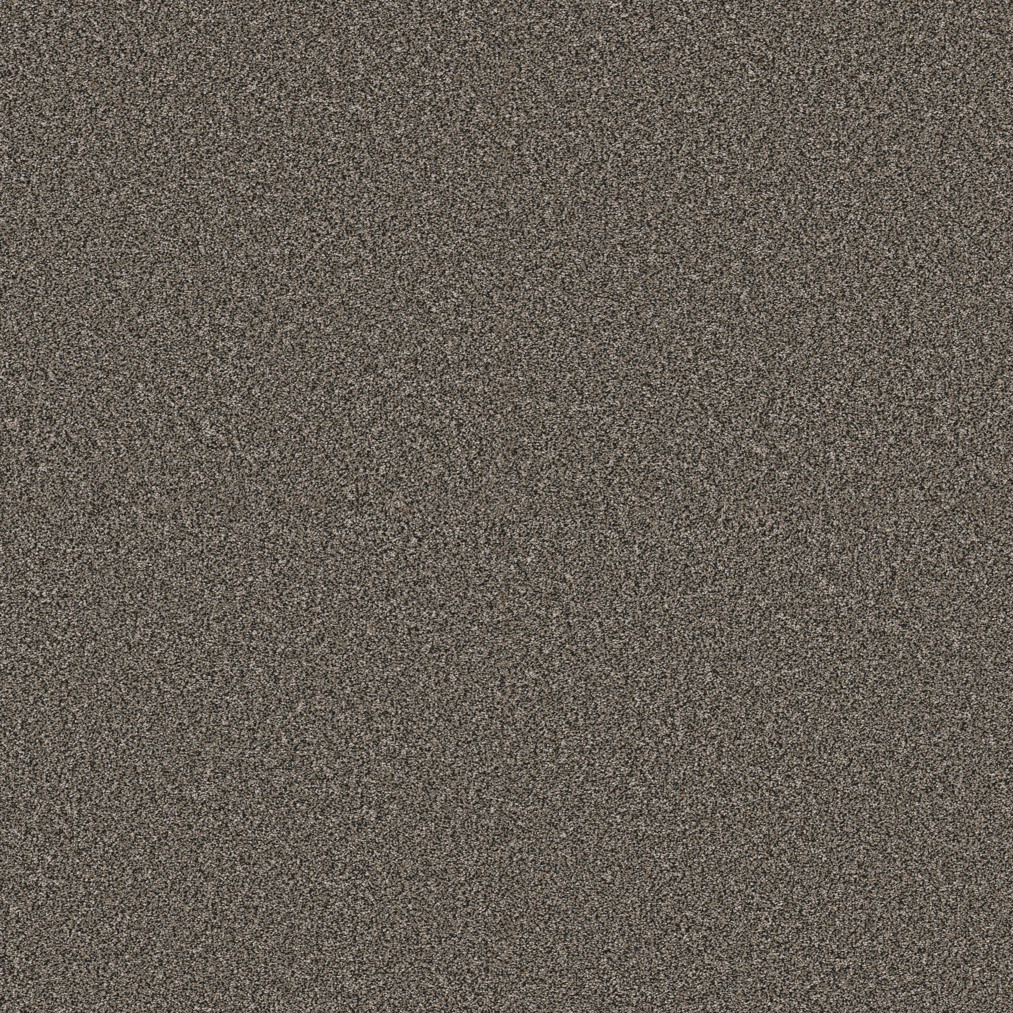 Artistic Fusion Ii - 100% ANSO® High Performance PET | Shaw Floors