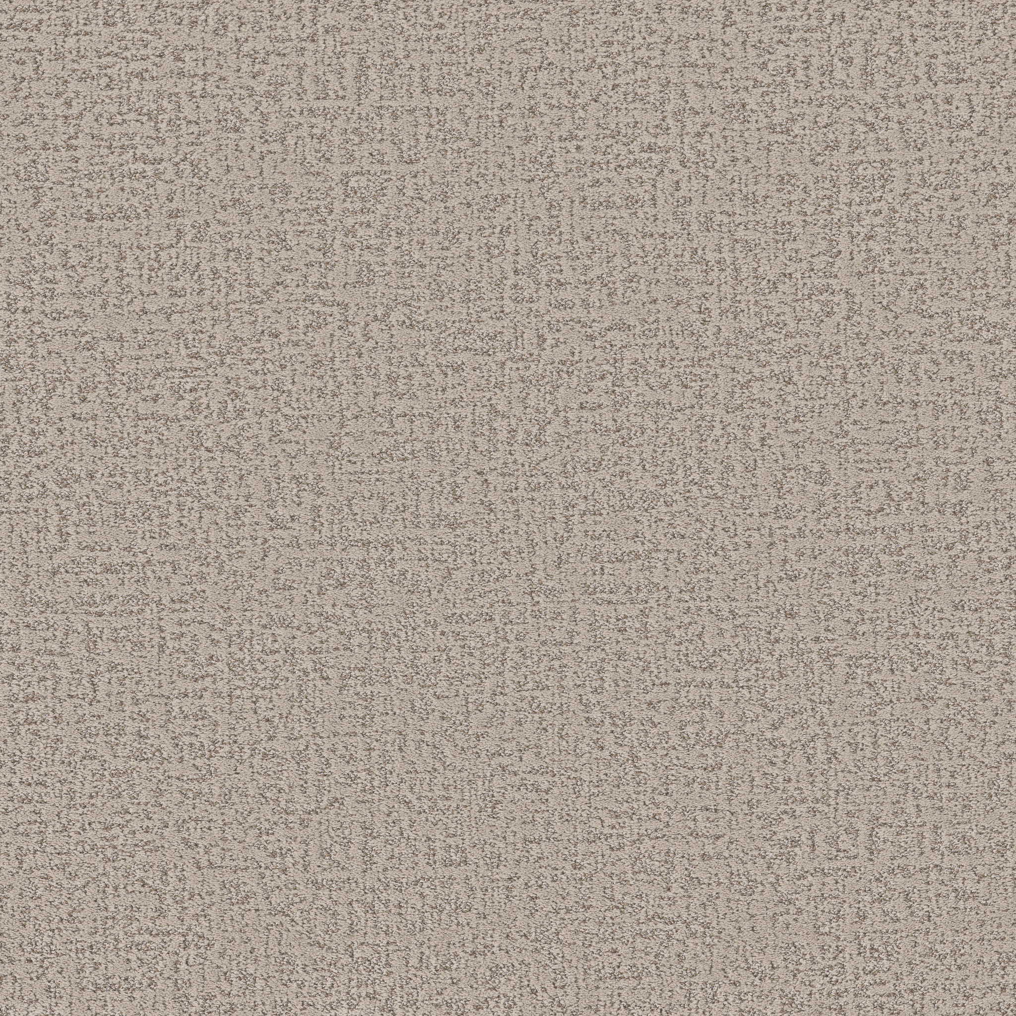 Home Within - 100% ANSO® High Performance PET | Shaw Floors