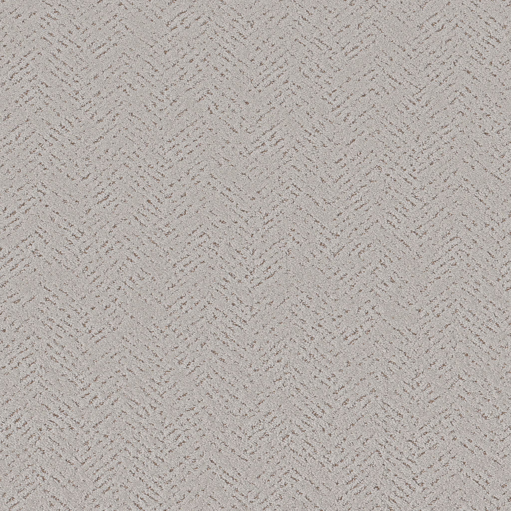 Favoured Path - 100% ANSO® High Performance PET | Shaw Floors