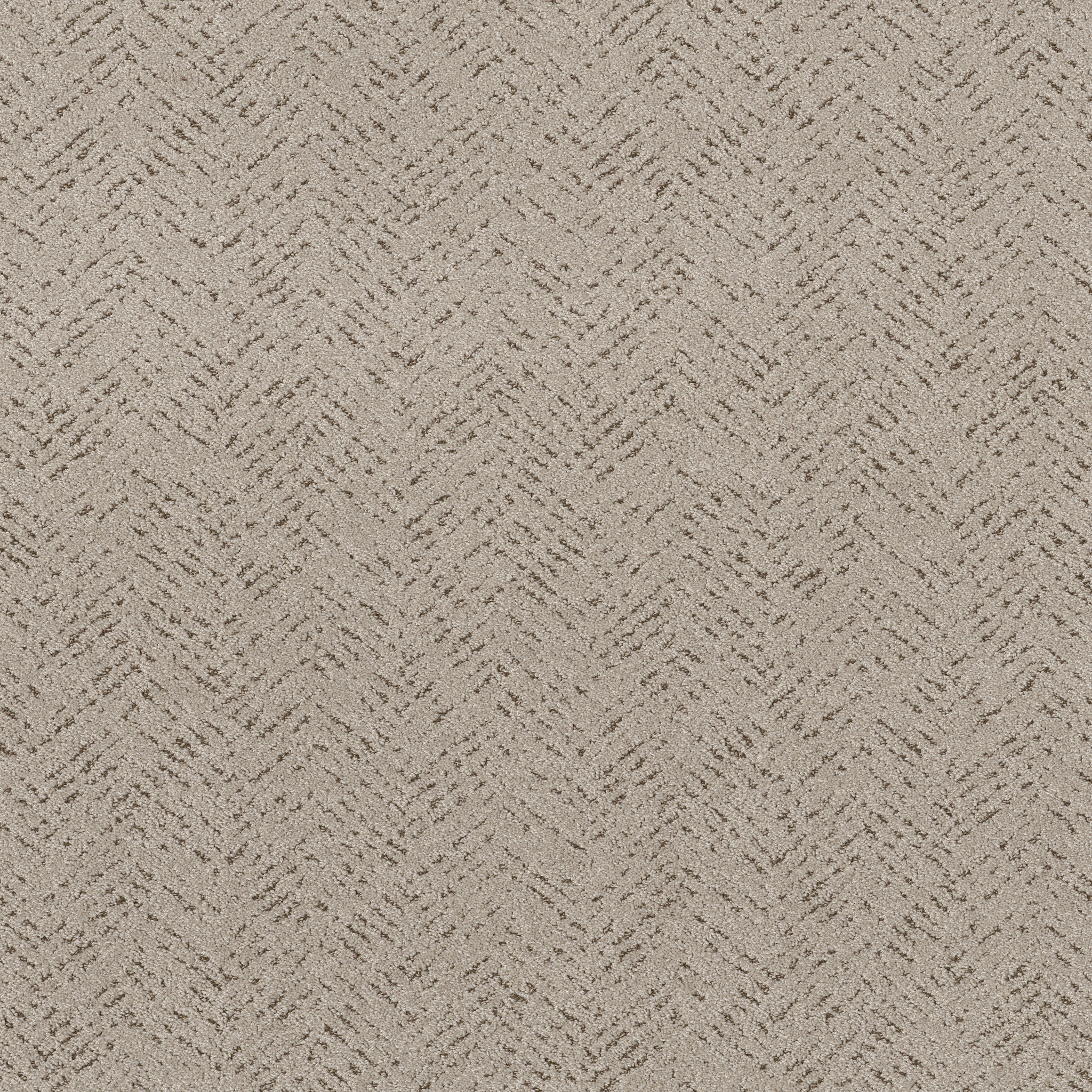 Favoured Path - 100% ANSO® High Performance PET | Shaw Floors