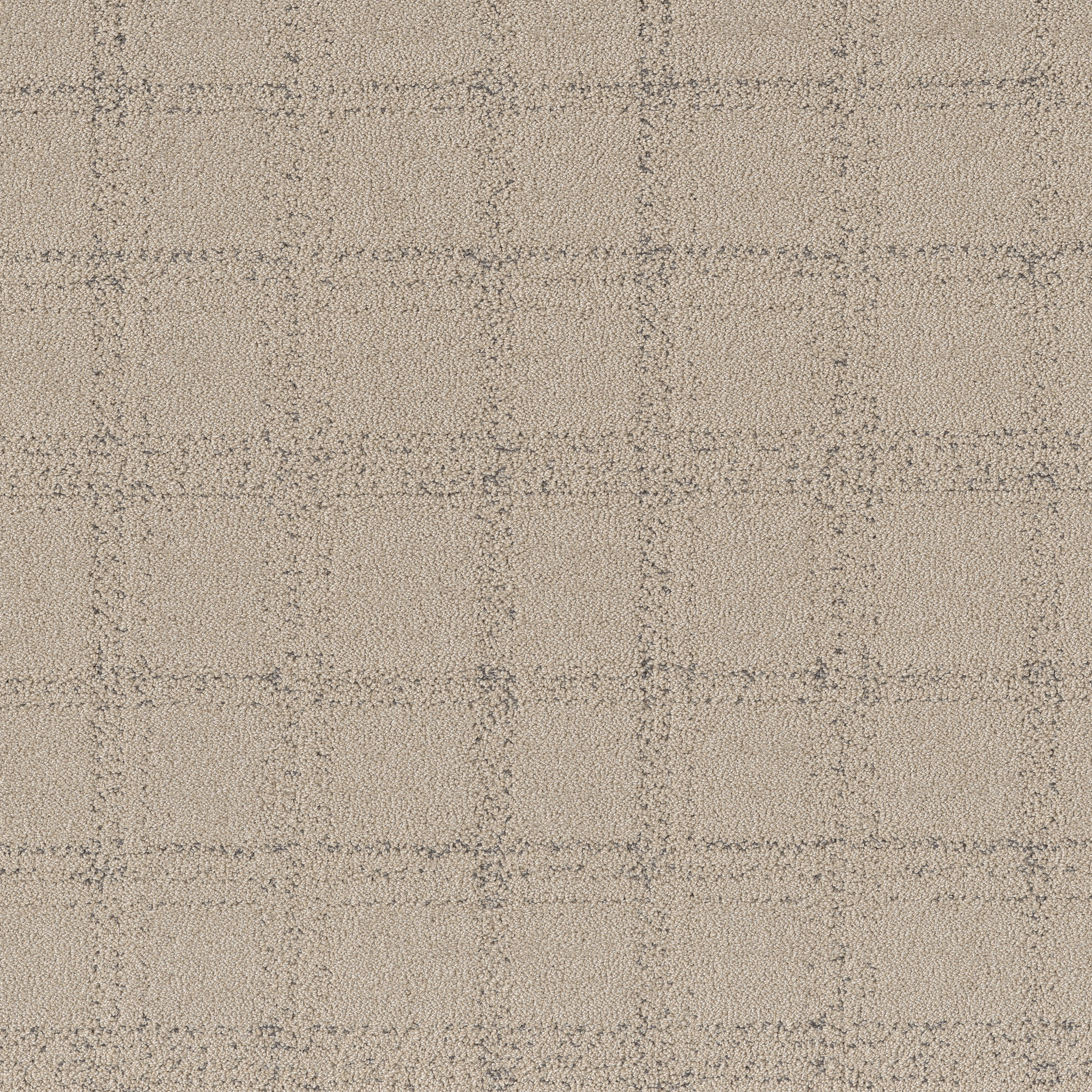Natural Calm - Warm Light Carpet | Shaw Floors