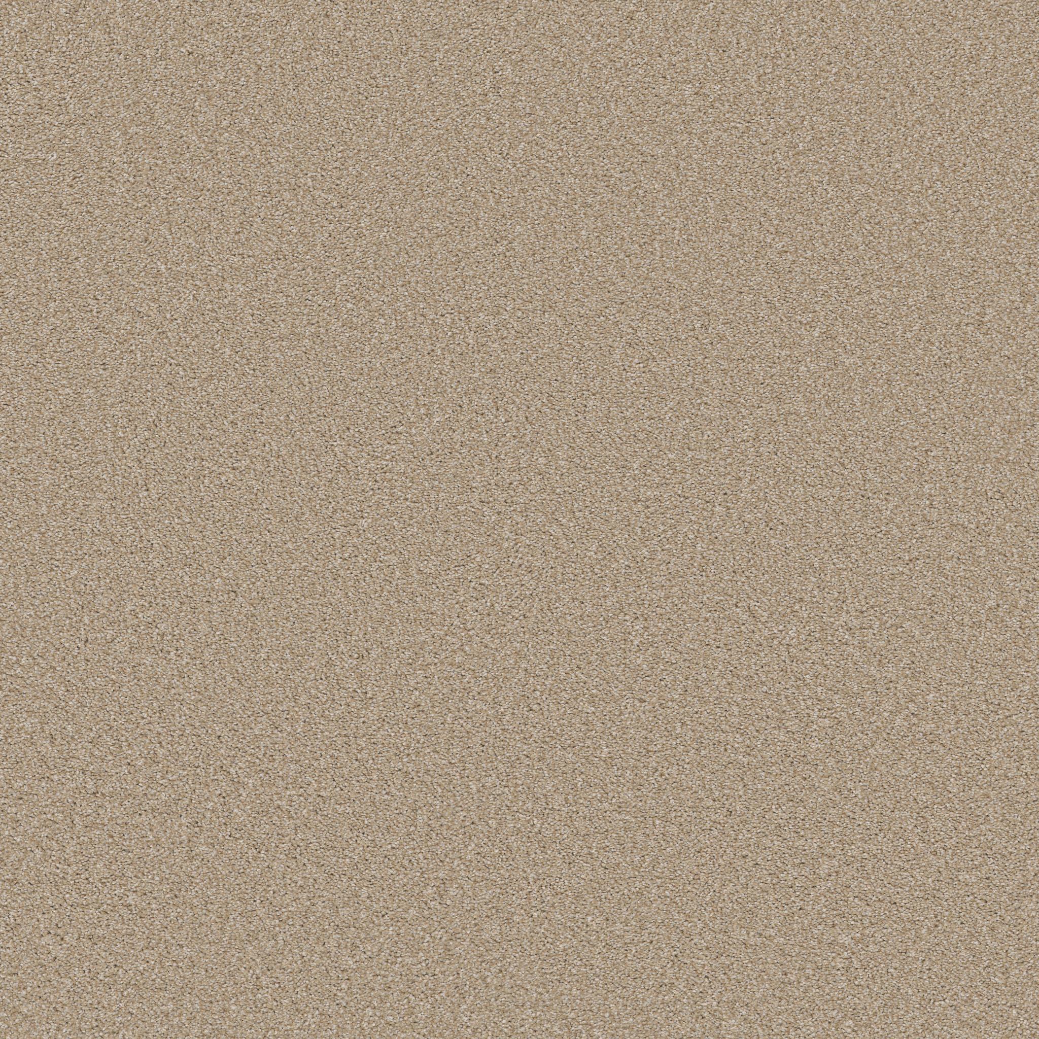 Trusolutions Iii - Sheer Natural Carpet | Shaw Floors