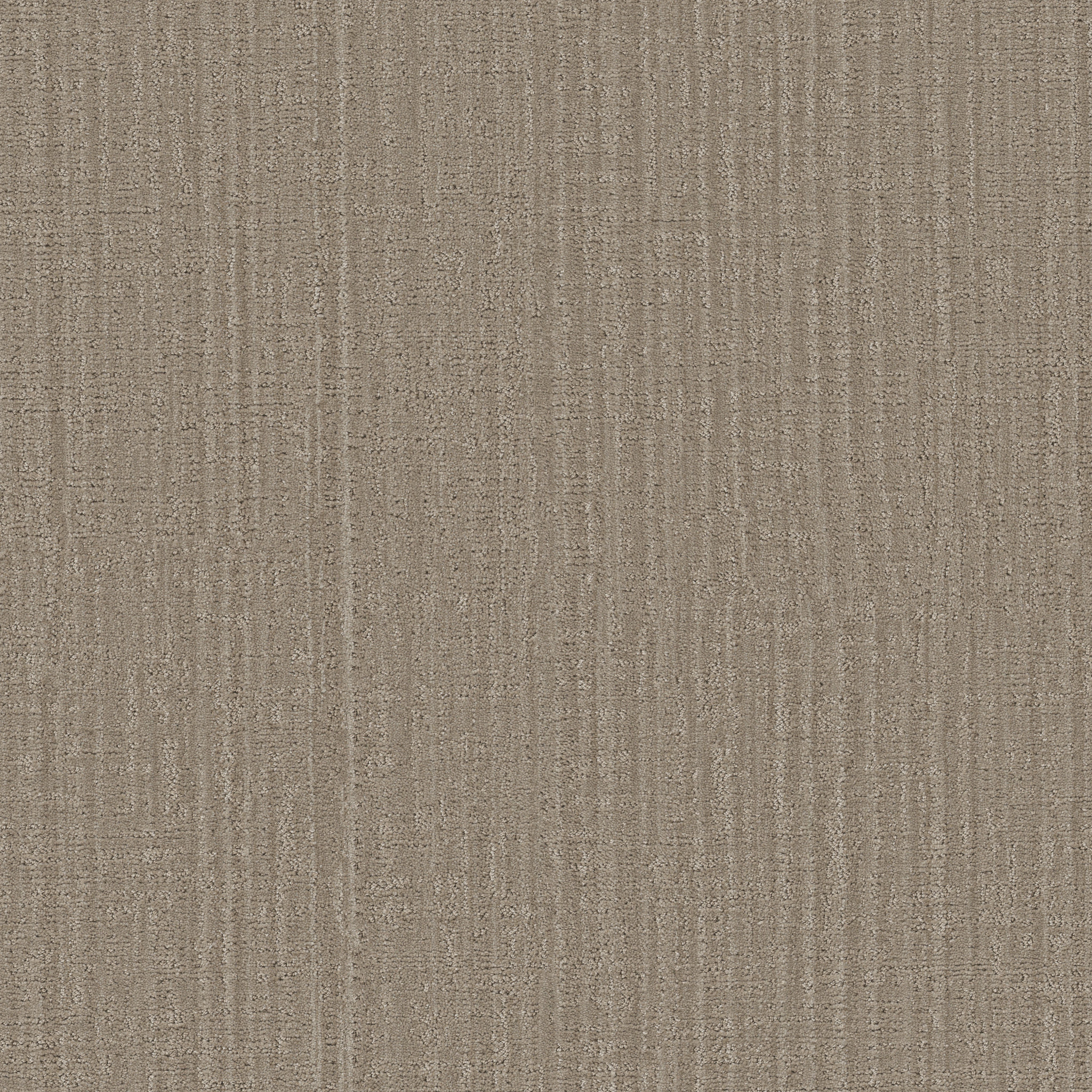 Shady Stroll - 100% ANSO® High Performance Solution Dyed PET | Shaw Floors