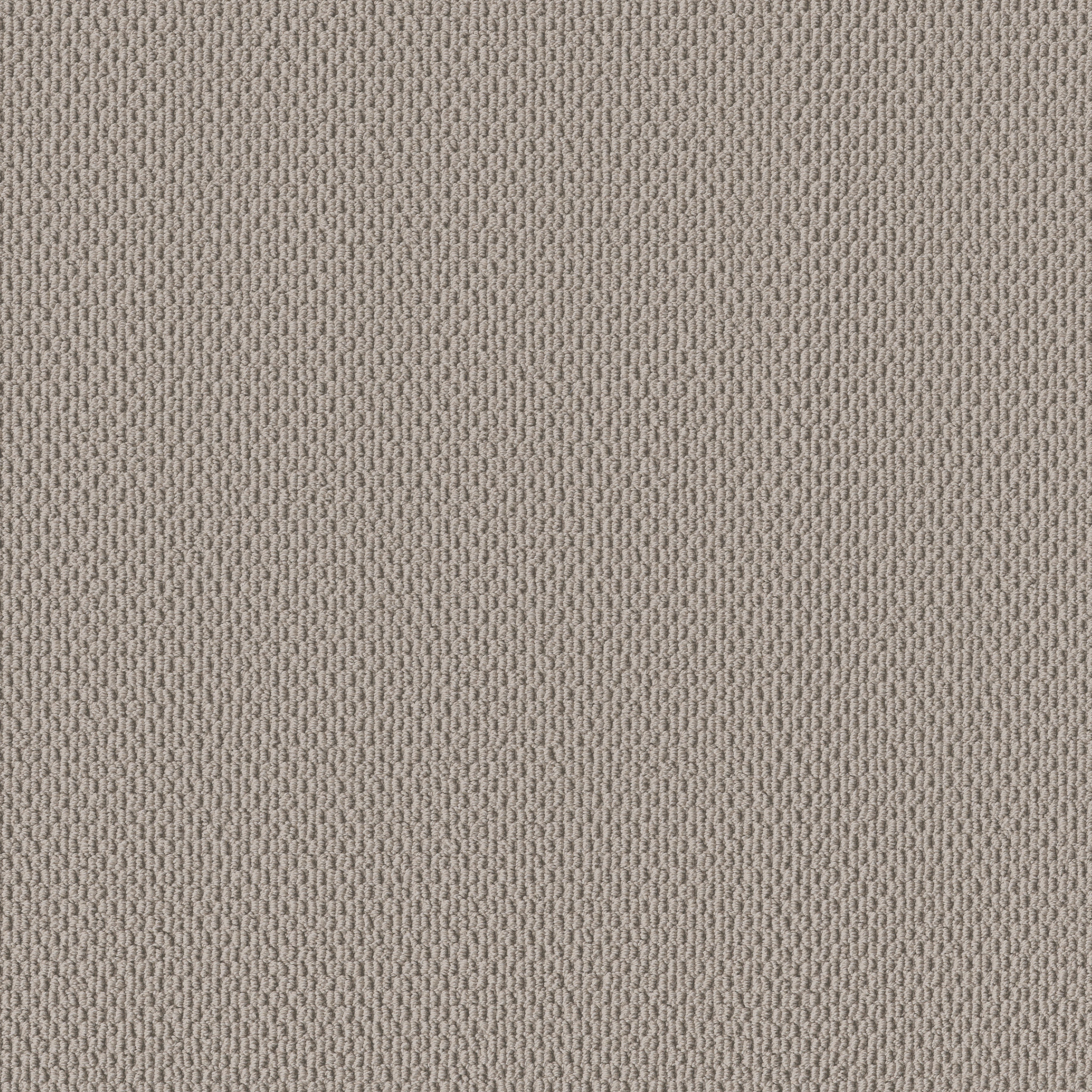 Perspective Path - 100% Nylon | Shaw Floors