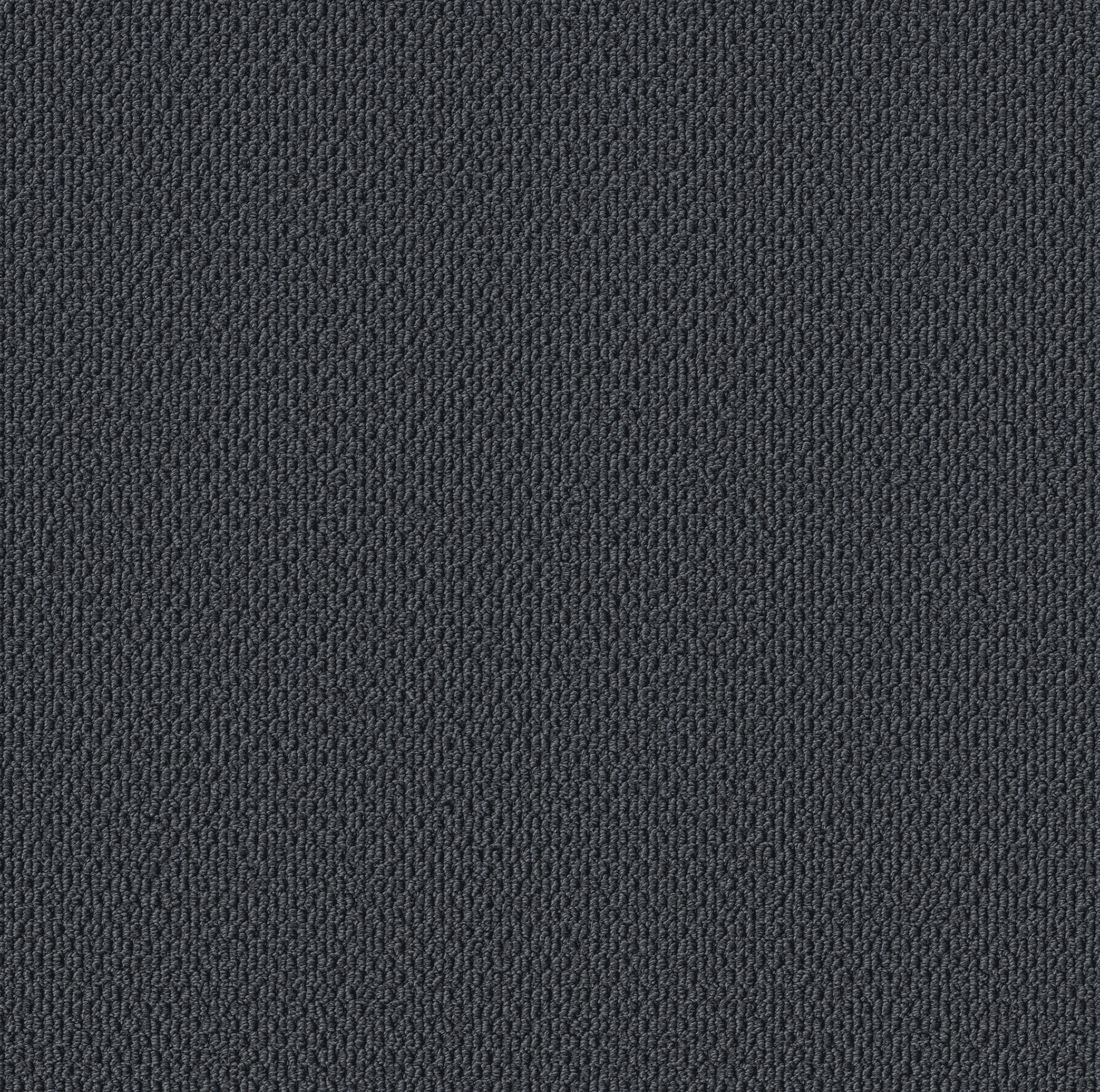 Perspective Path - Parisian Night Carpet | Shaw Floors