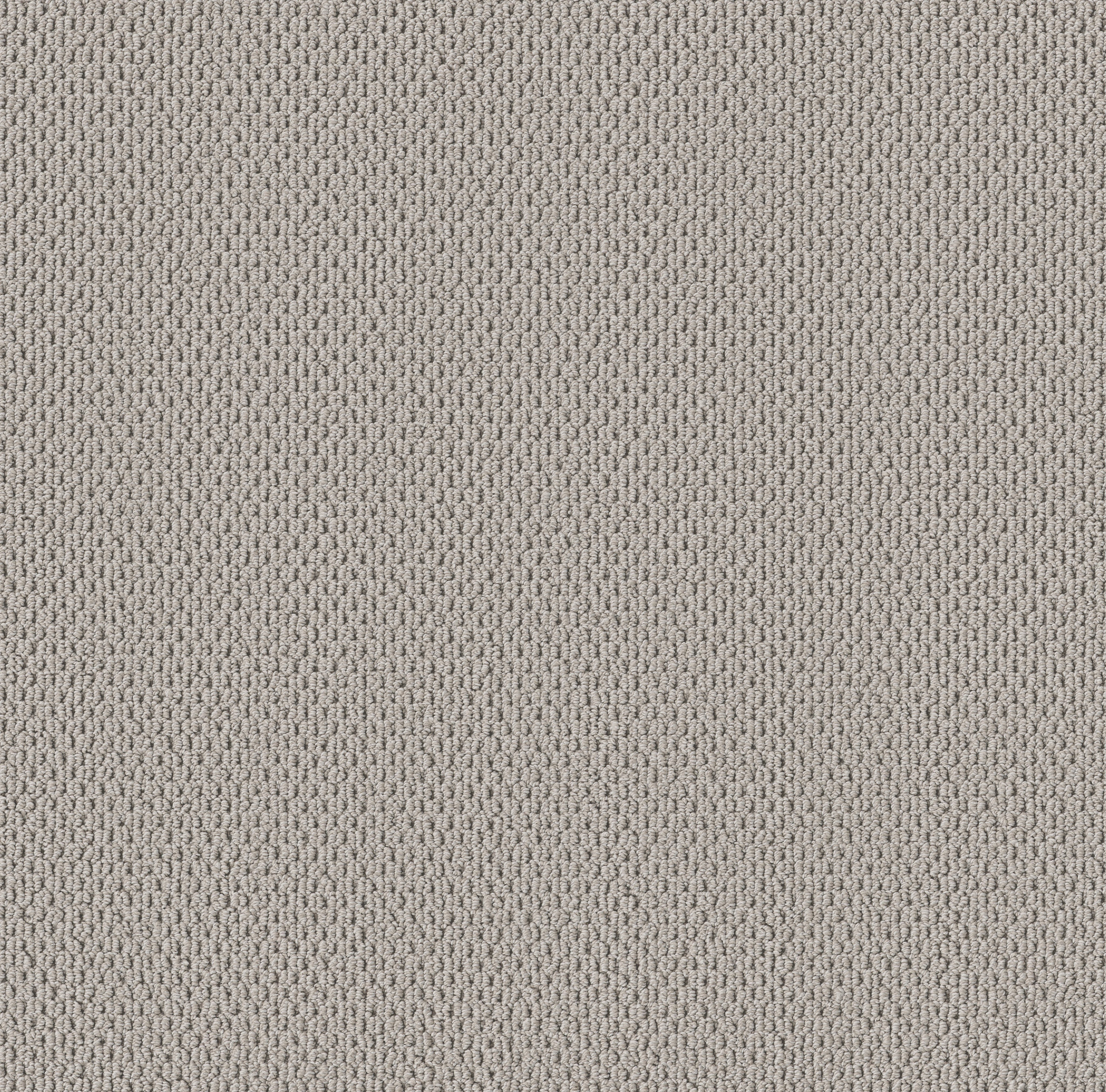 Perspective Path - 100% Nylon | Shaw Floors