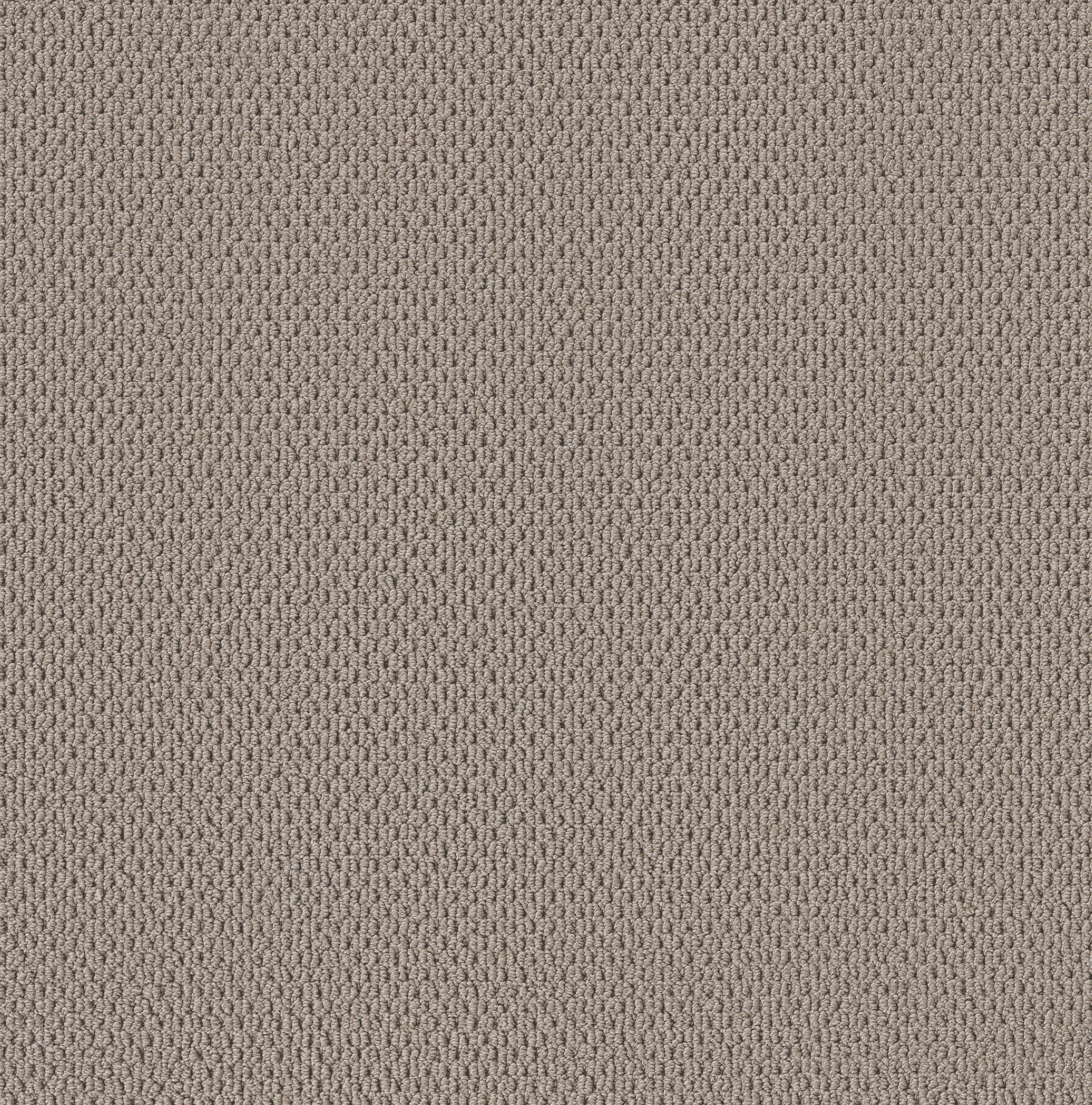 Perspective Path - 100% Nylon | Shaw Floors