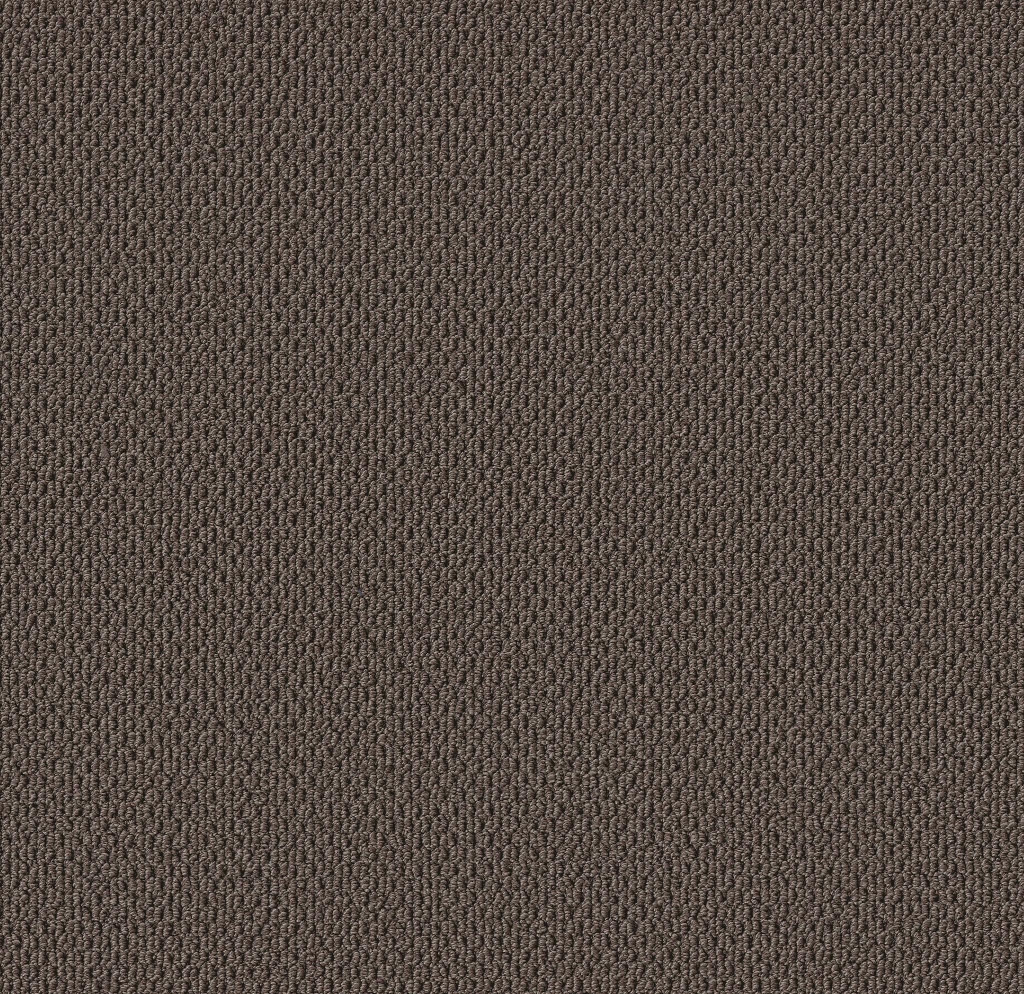 Perspective Path - 100% Nylon | Shaw Floors