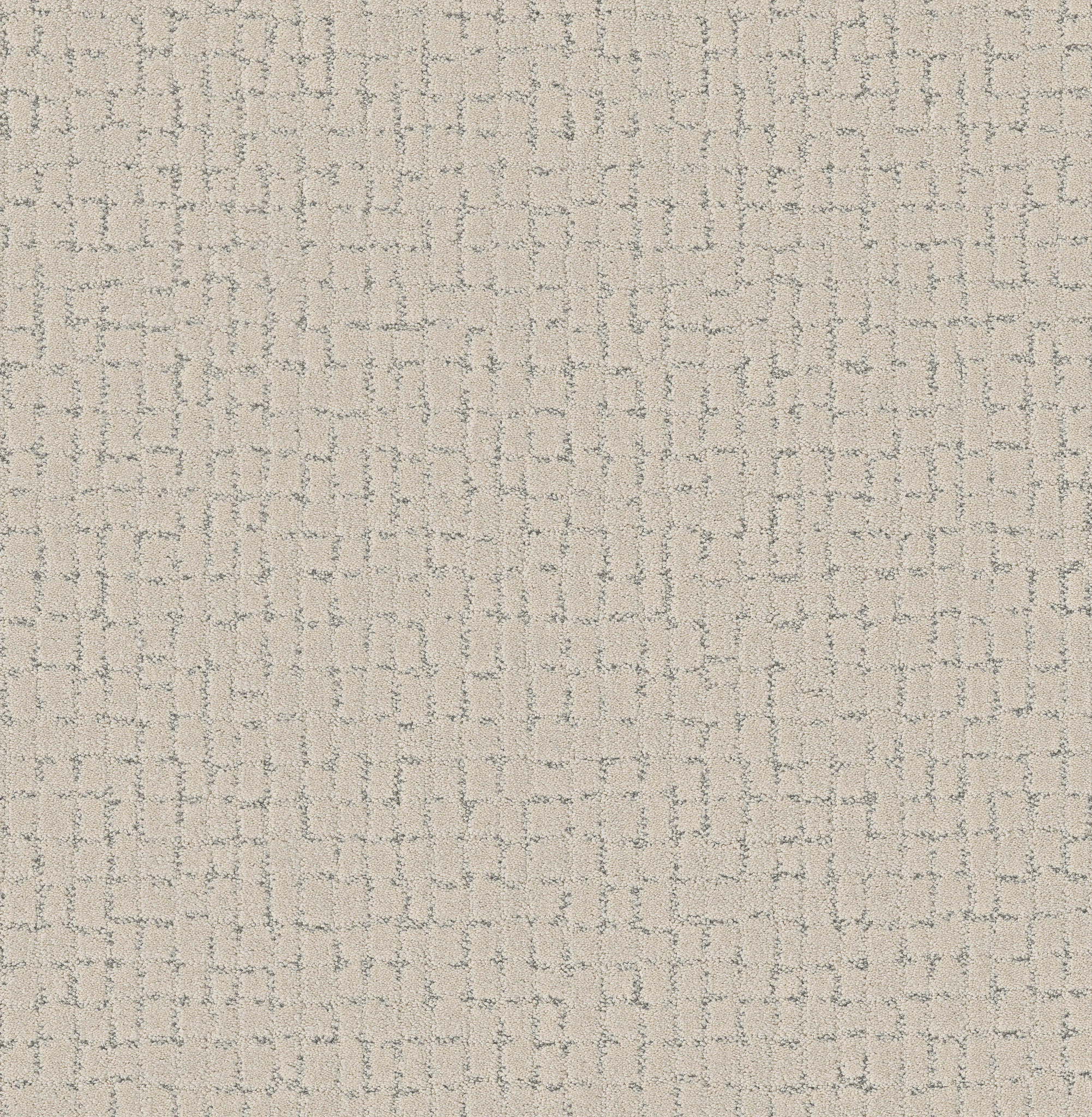 Block Party - Snowfall Carpet | Shaw Floors