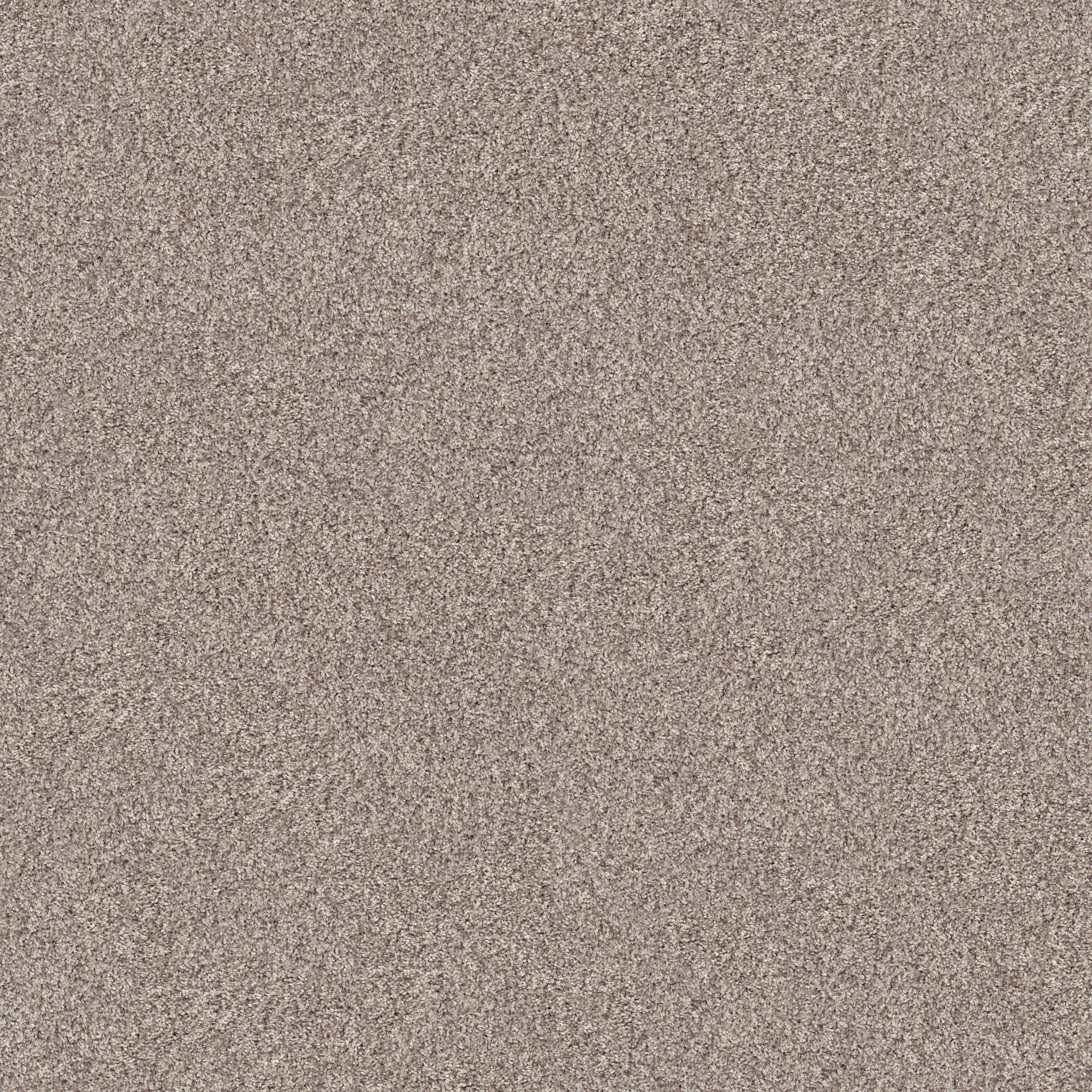Inlet Shore Ii 12' - Stacked Wall Carpet | Shaw Floors